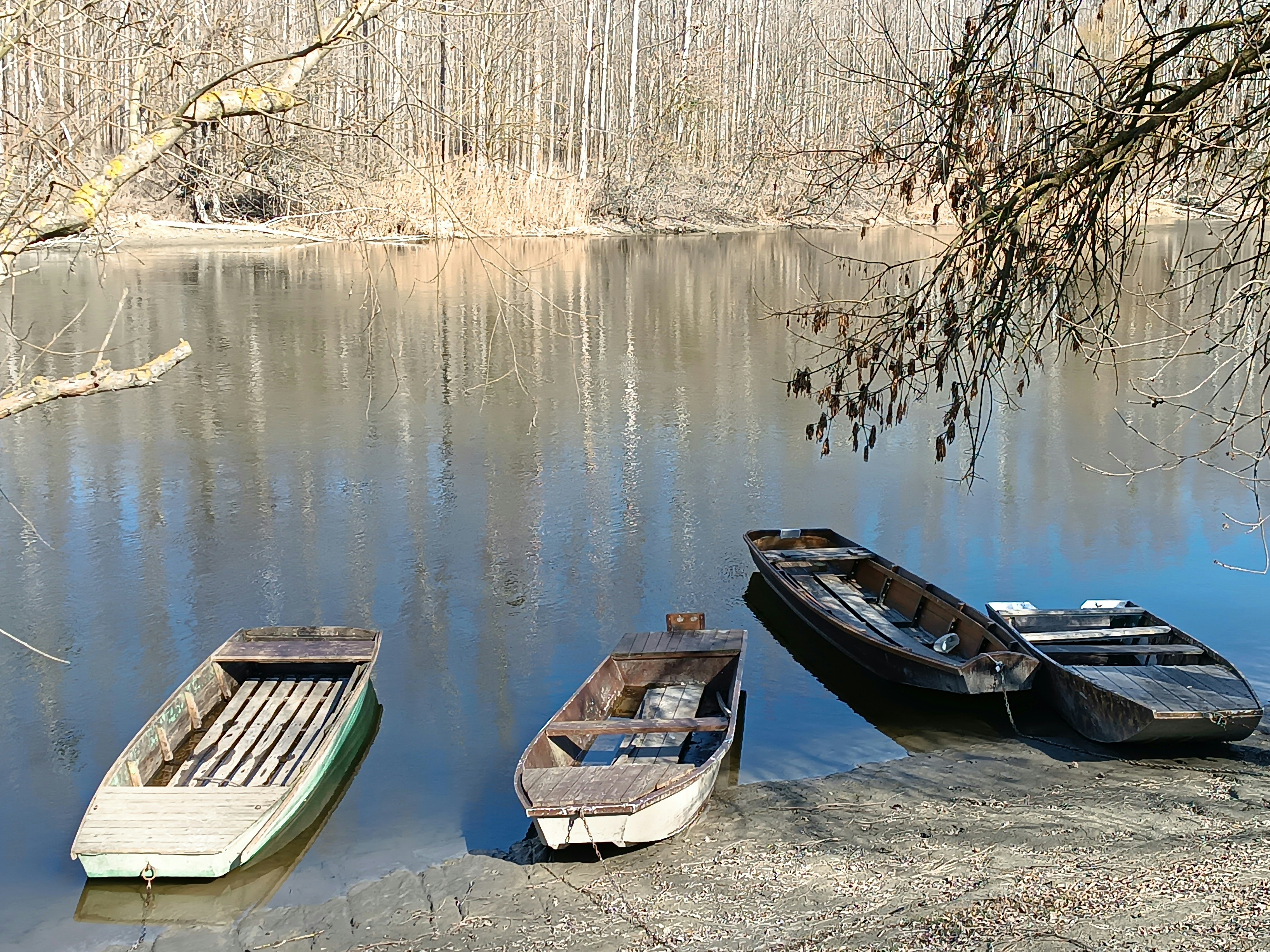 Three weathered boats rest along a muddy riverbank as calm water mirrors the bare trees lining the far shore.