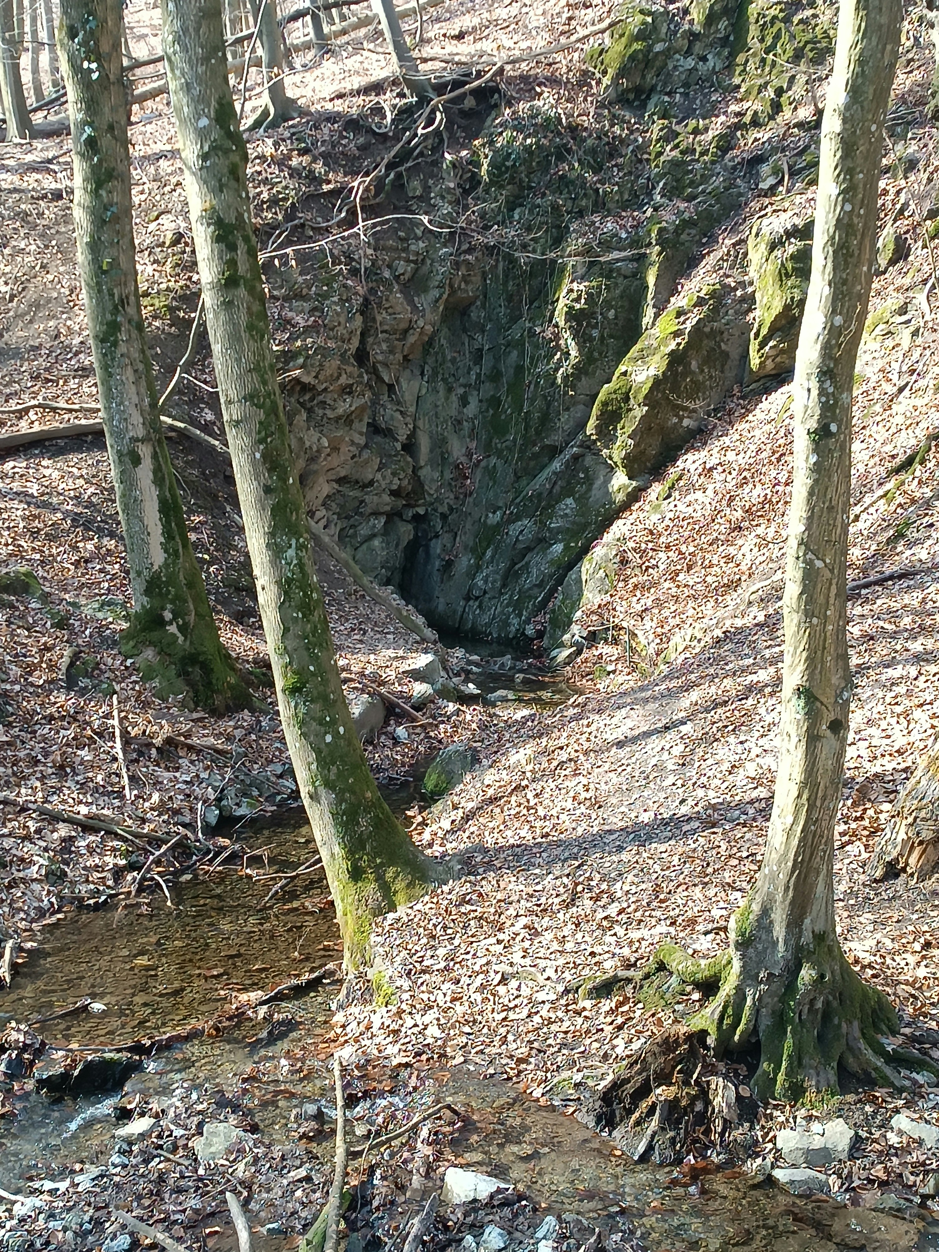 A stream flows through a rocky landscape.