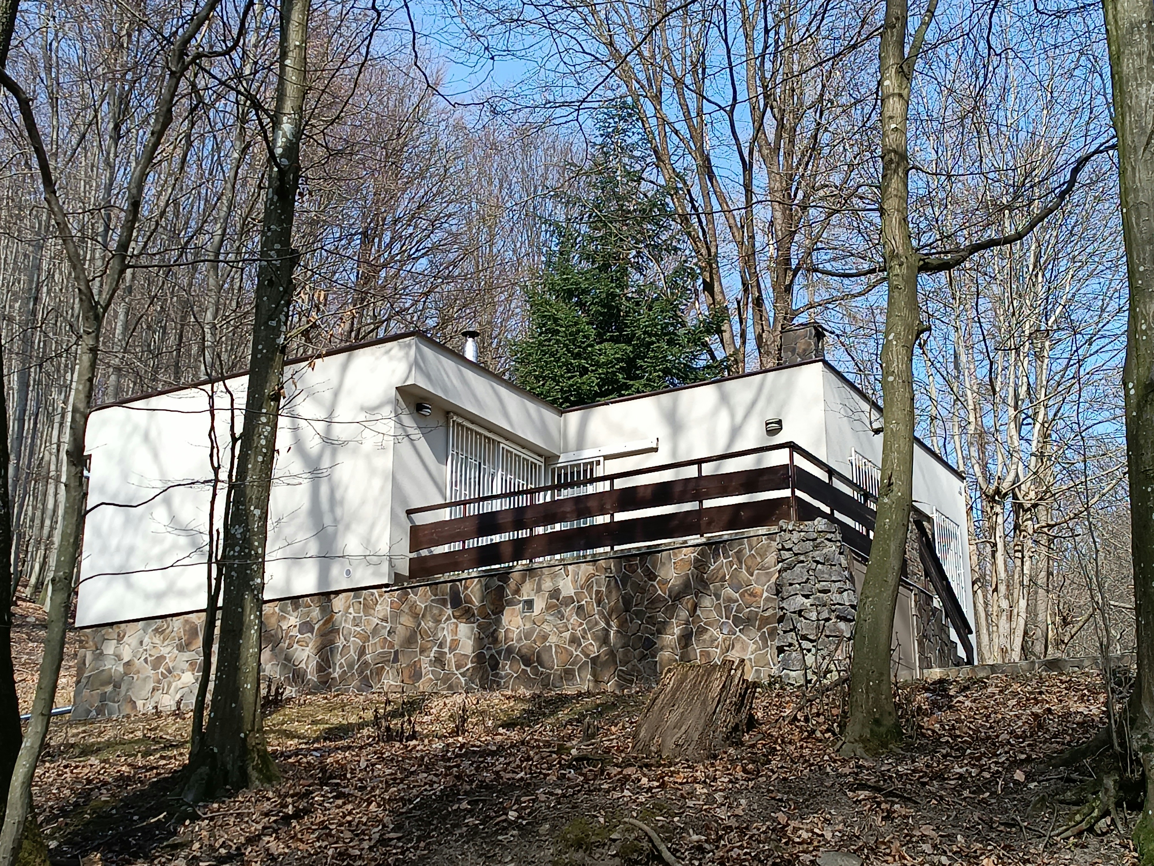 Modern house with stone base nestled in a leafless forest.