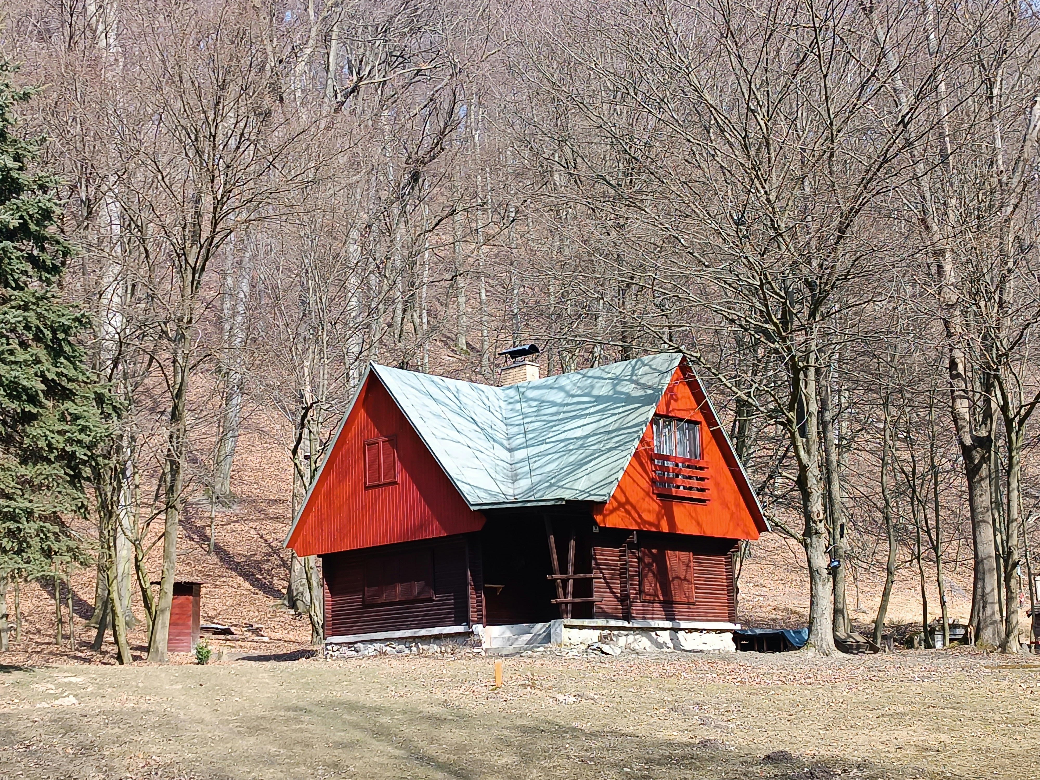 A small cabin stands among the bare trees.
