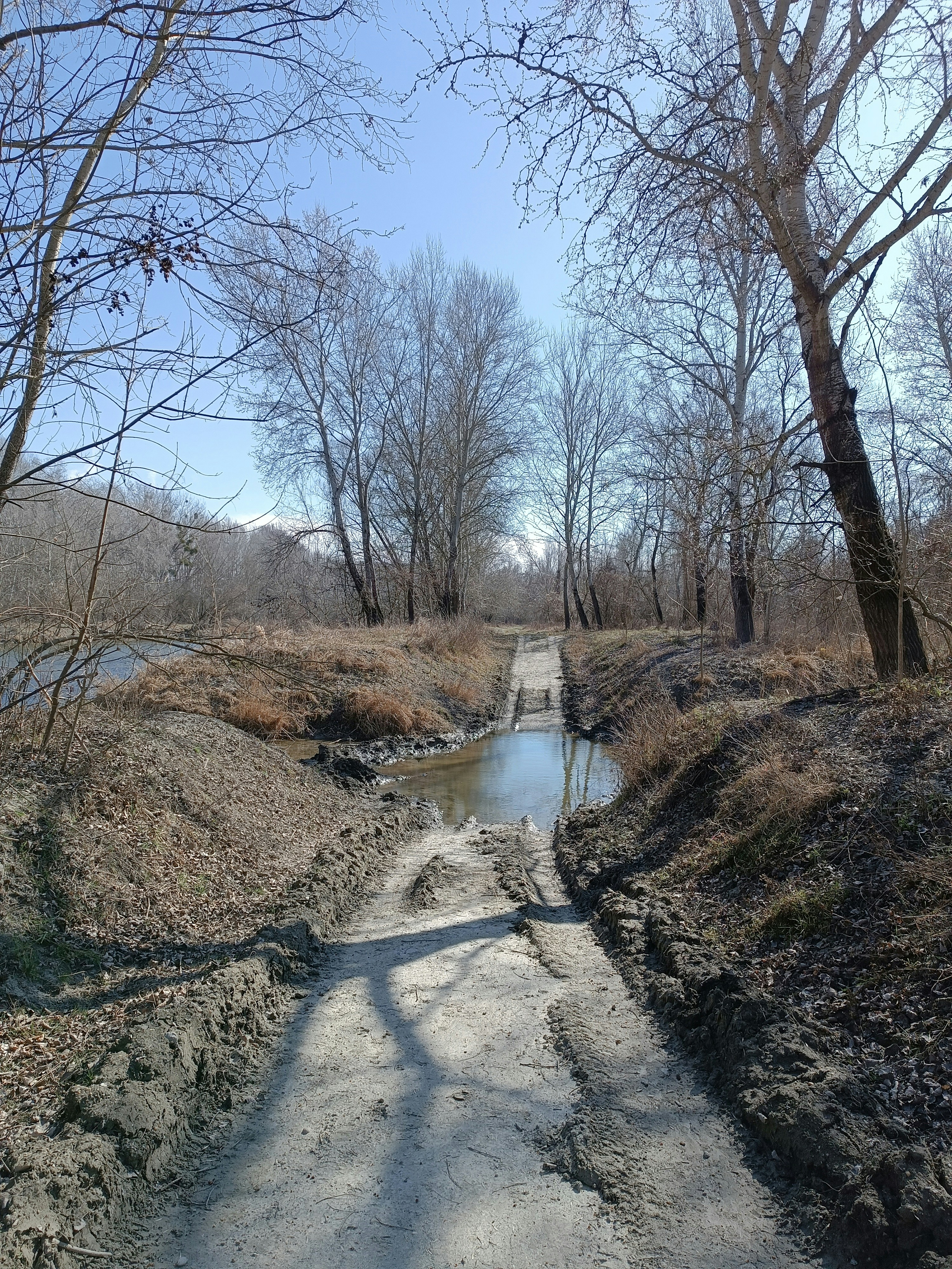 A muddy road leads to a small body of water. photo – Free Road Image on ...