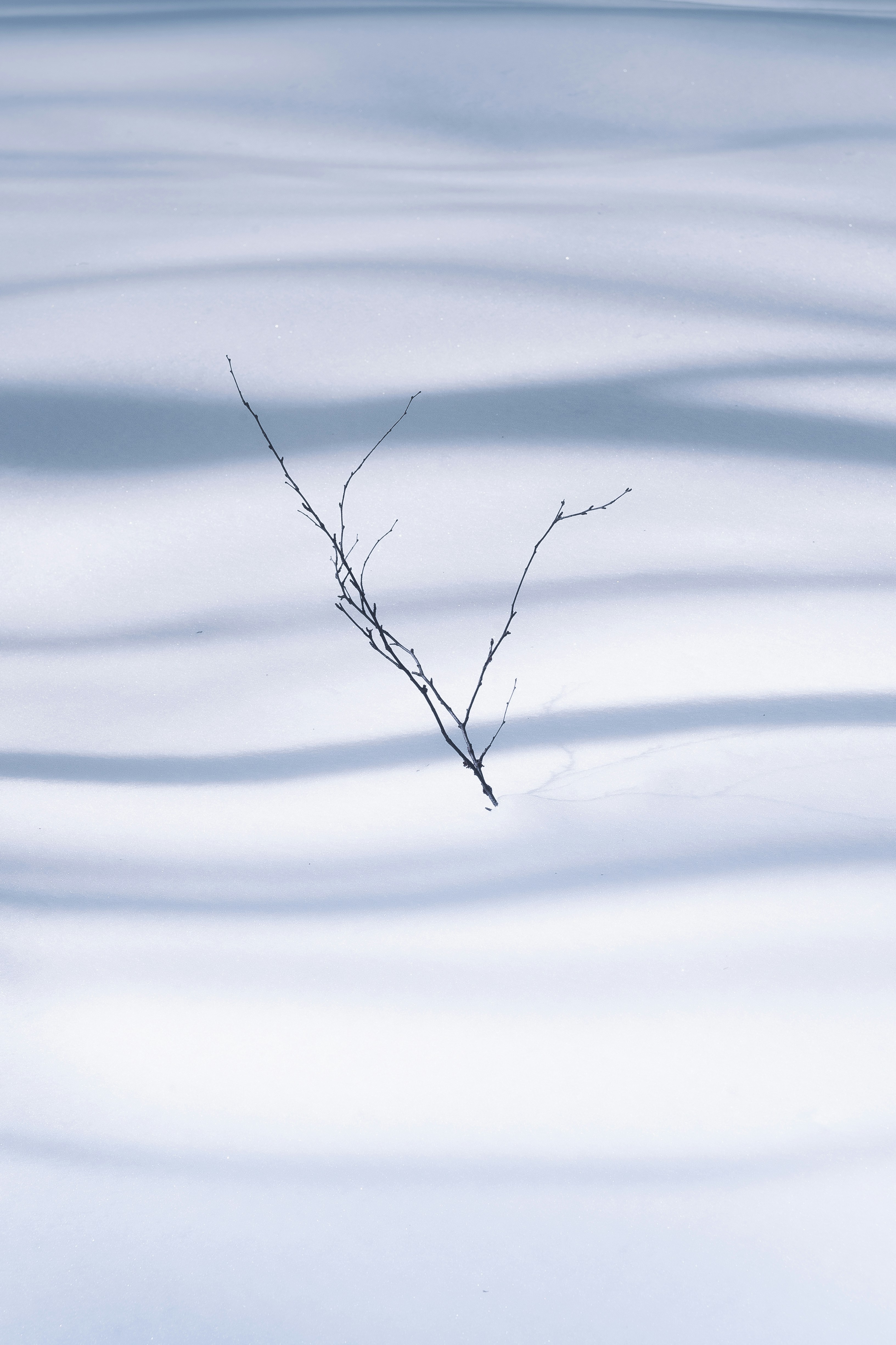 A twig rests on a snowy, wavy surface. photo – Free Winter Image on ...