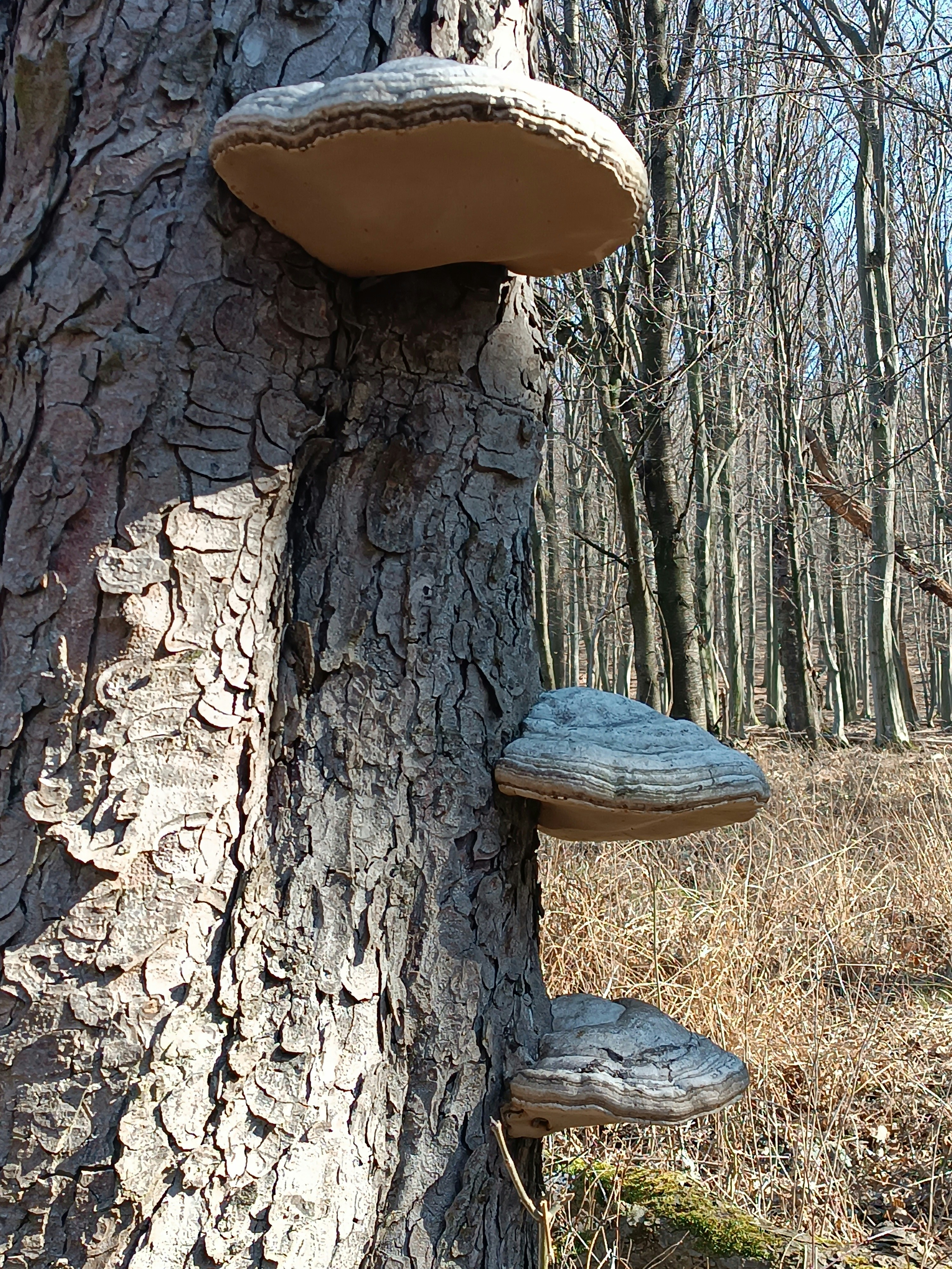 Photo by Tomasz Anusiewicz with Xiaomi Redmi Note 12S