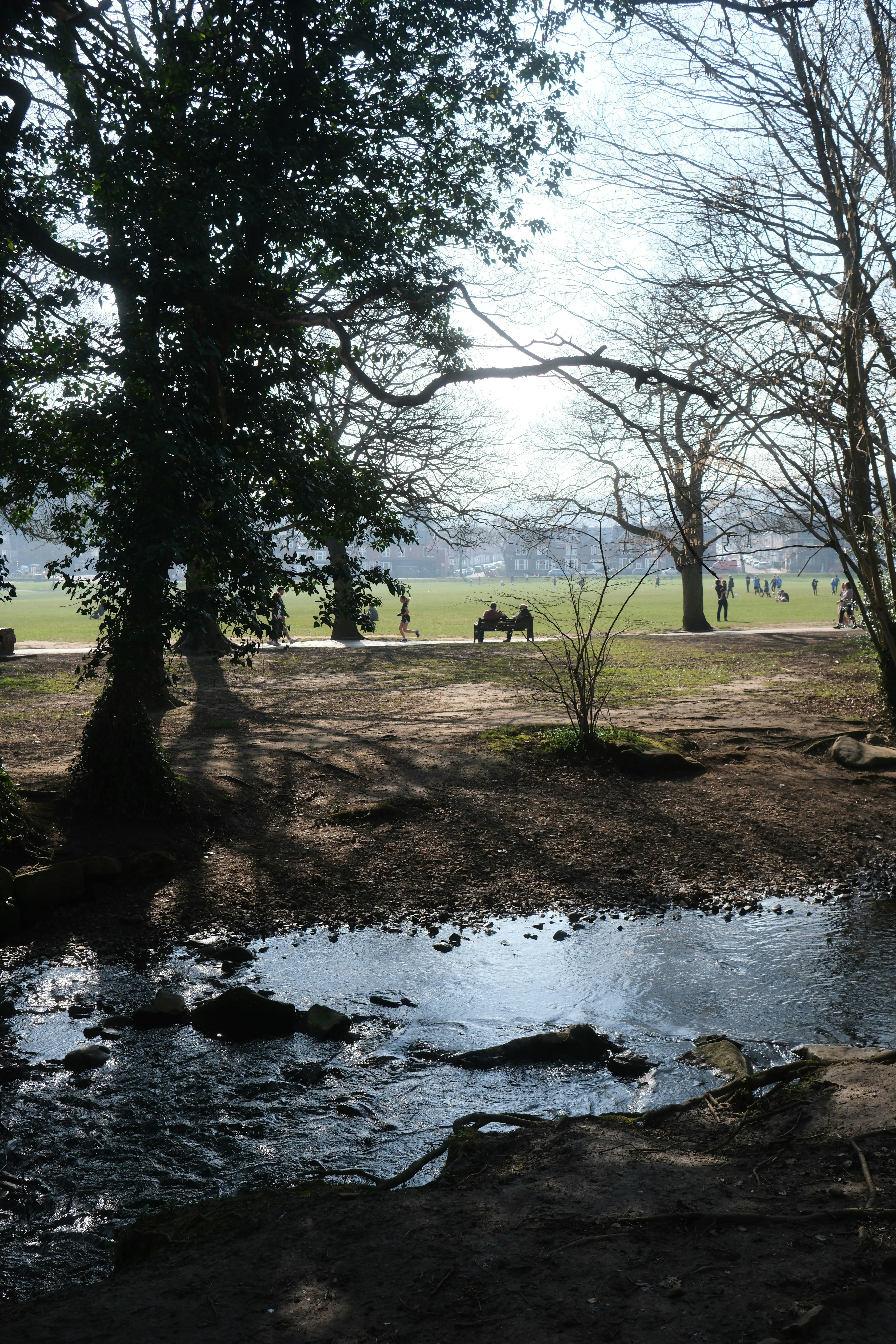 Sunlit Clearing by the Stream: Bench Silhouettes and Distant Parkgoers