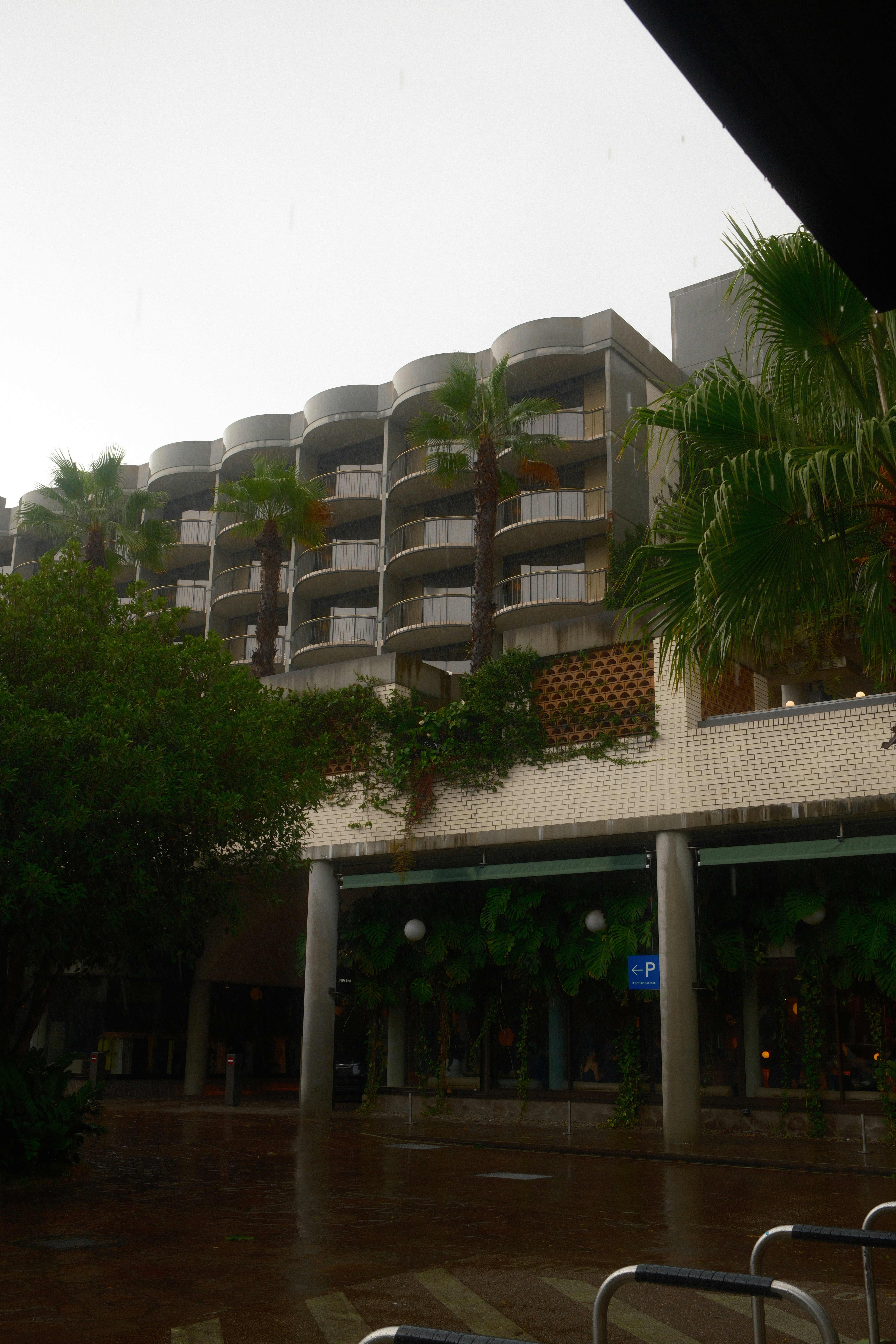 Rain-Washed Facade: Palm-Framed Balconies of a Seaside Hotel