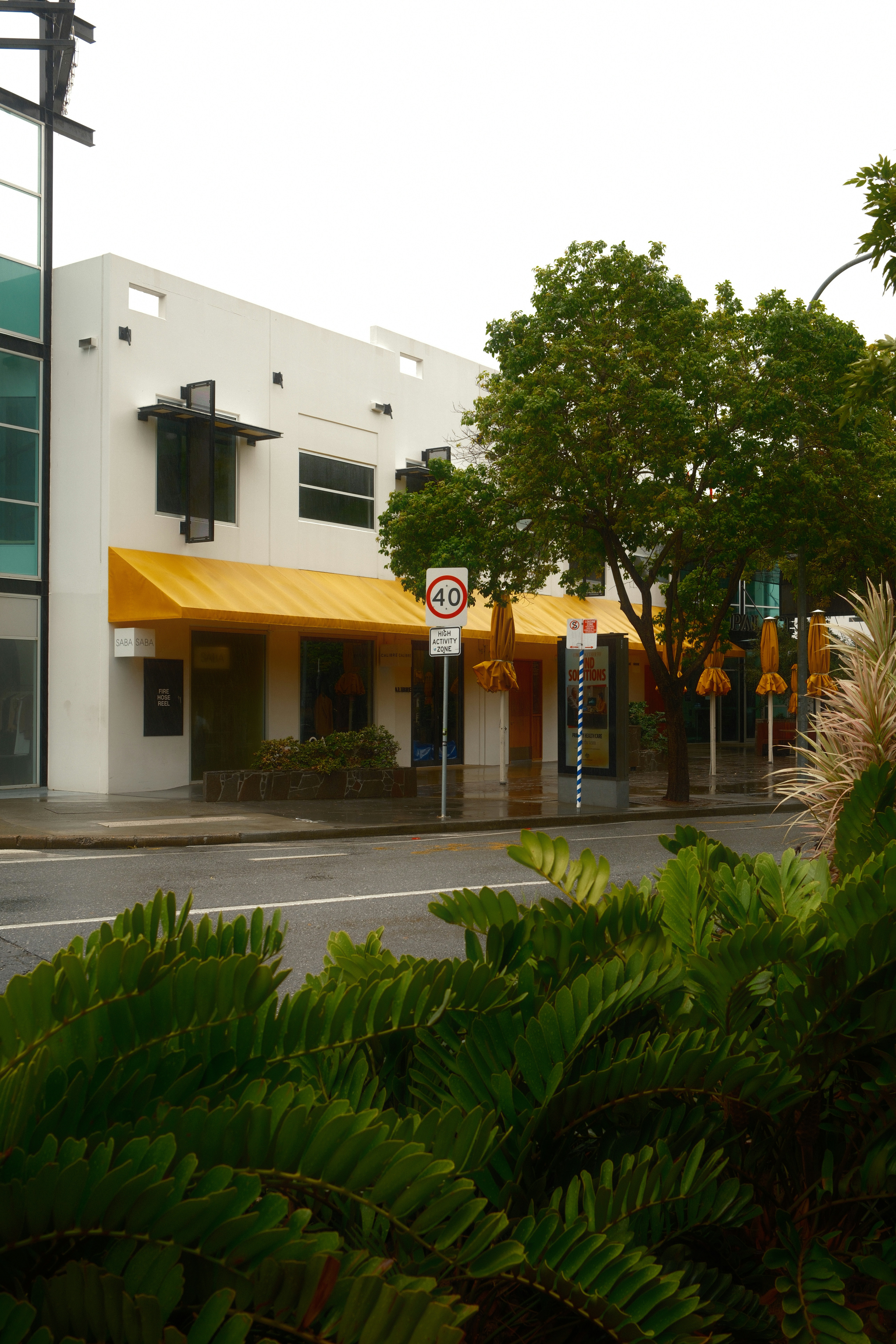 Urban Oasis: A Glimpse of Rainy Day Charm