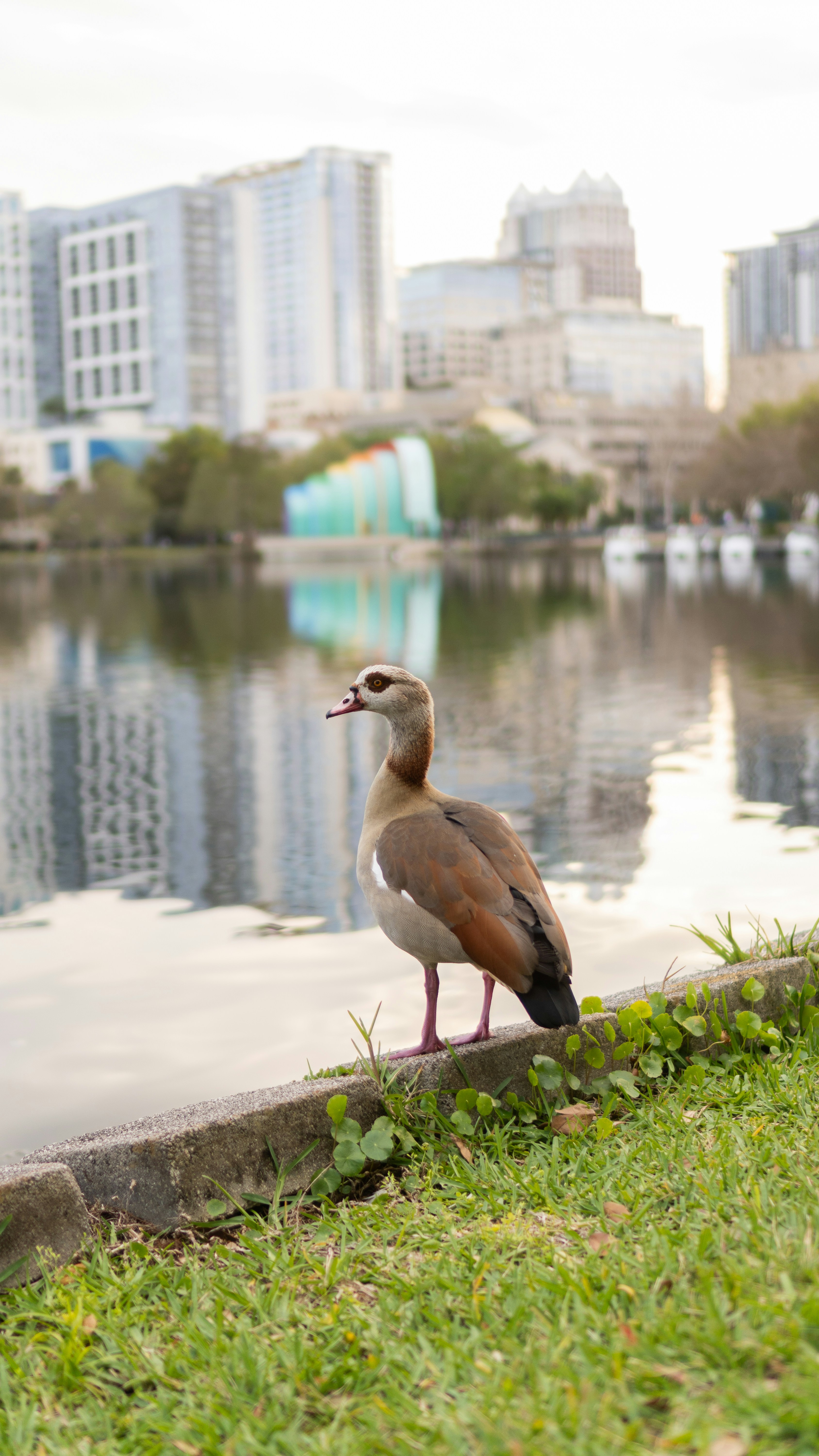 Photo by Ángel Navarro with Sony Alpha 6400