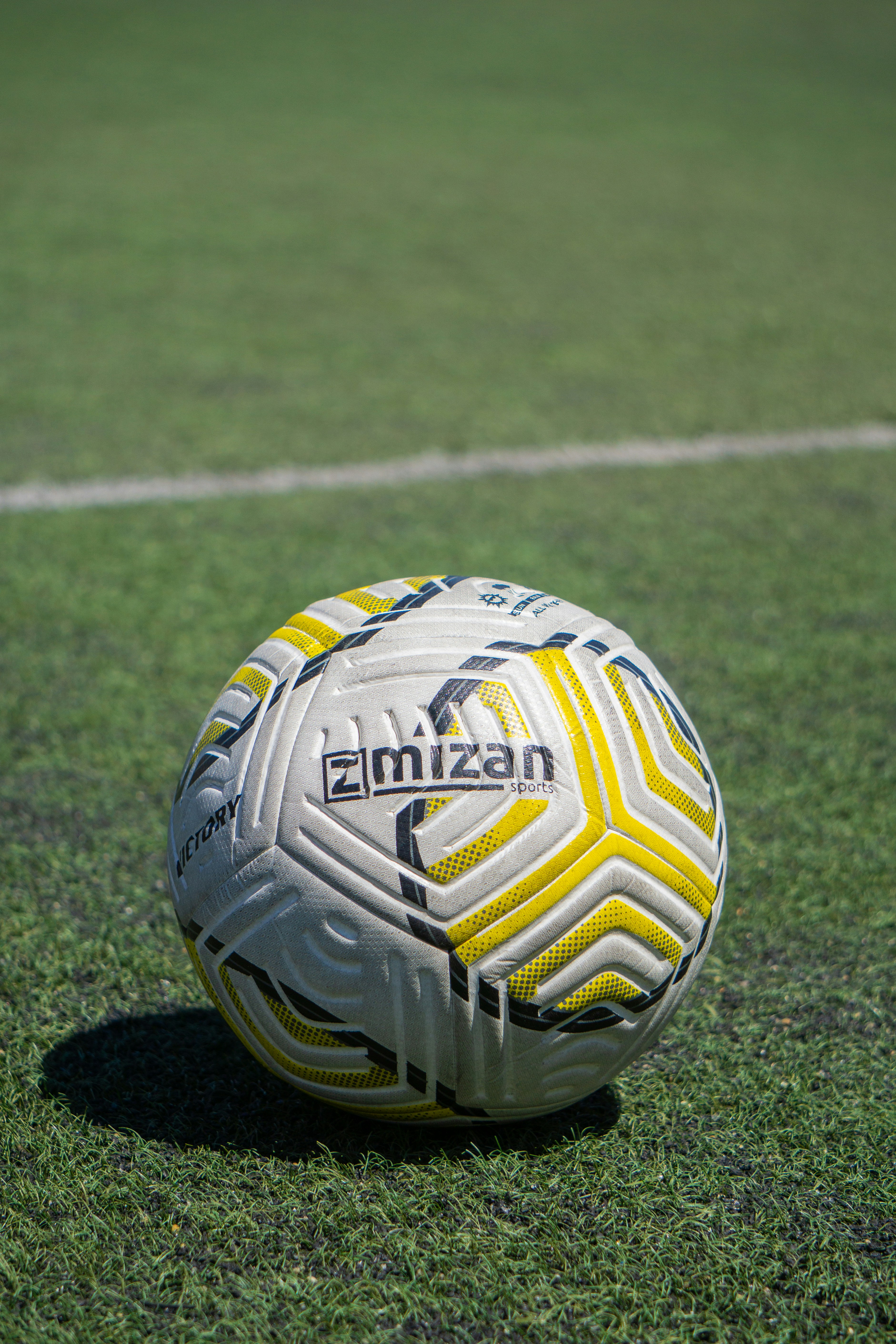 Sunlit Geometry: A Soccer Ball on Fresh Turf