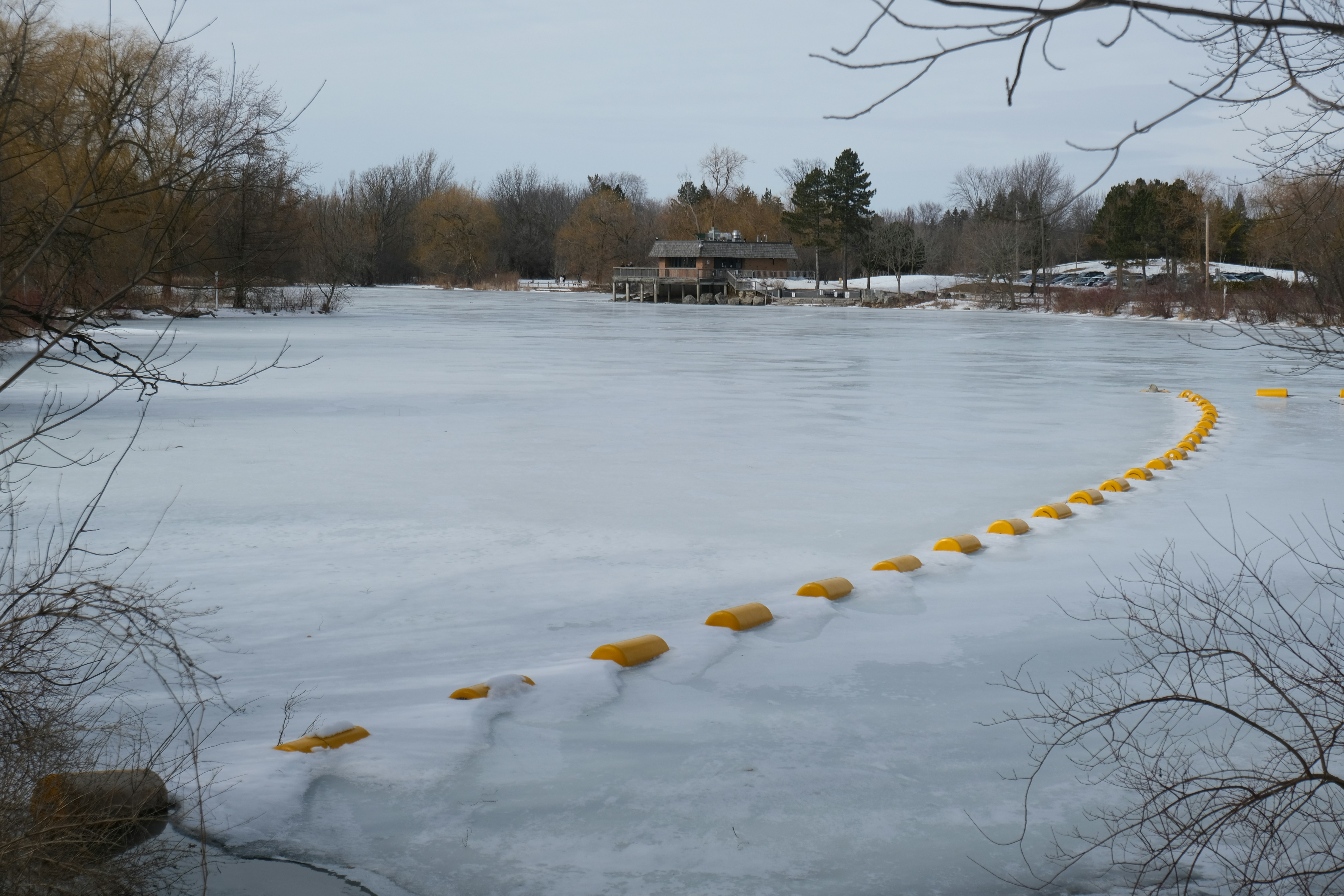 Arc of Yellow Markers Across a Quiet Frozen Lake Toward a Lakeside Boathouse