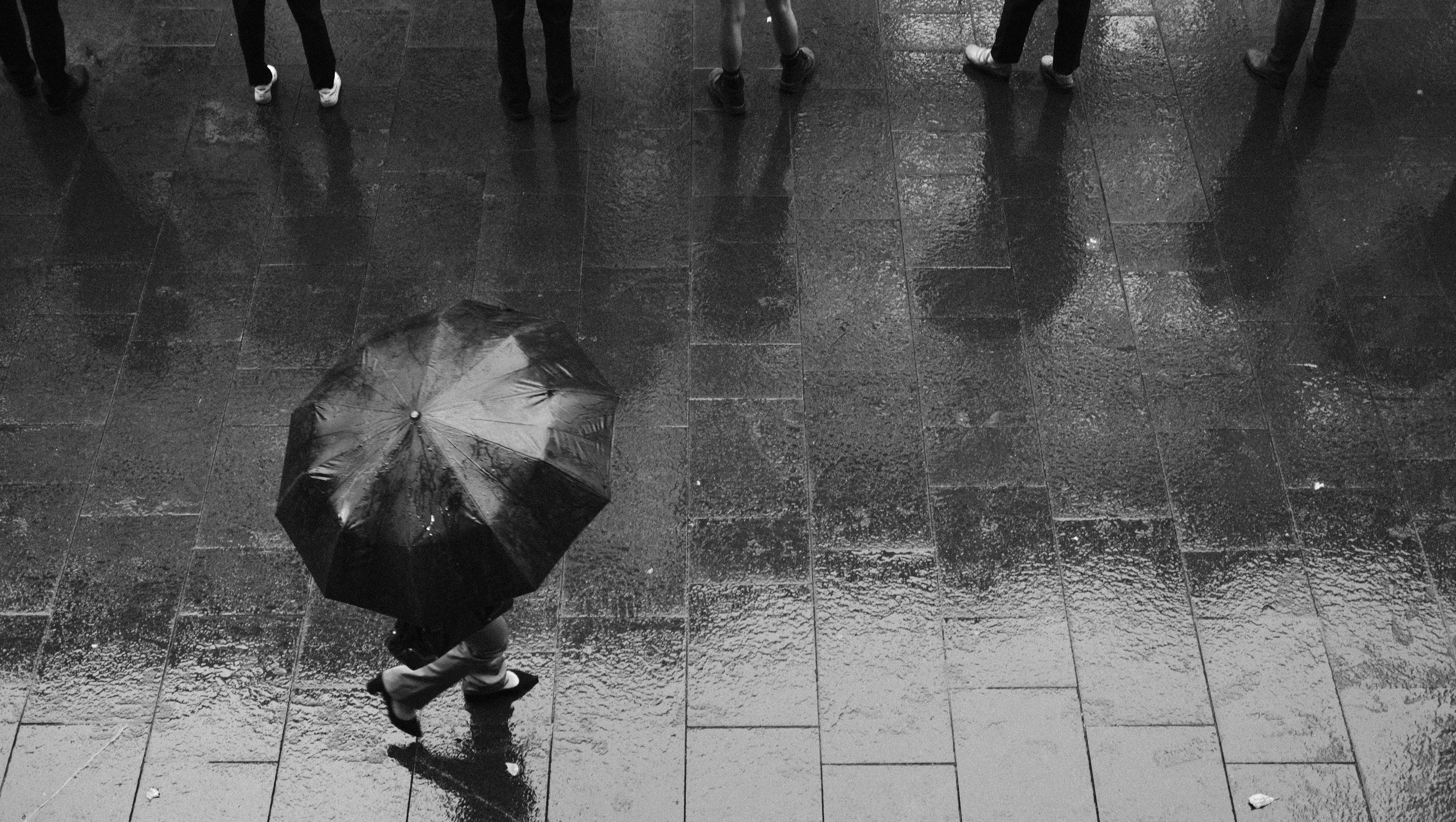 Person walking with an umbrella on a wet street, surrounded by reflections of others' legs.