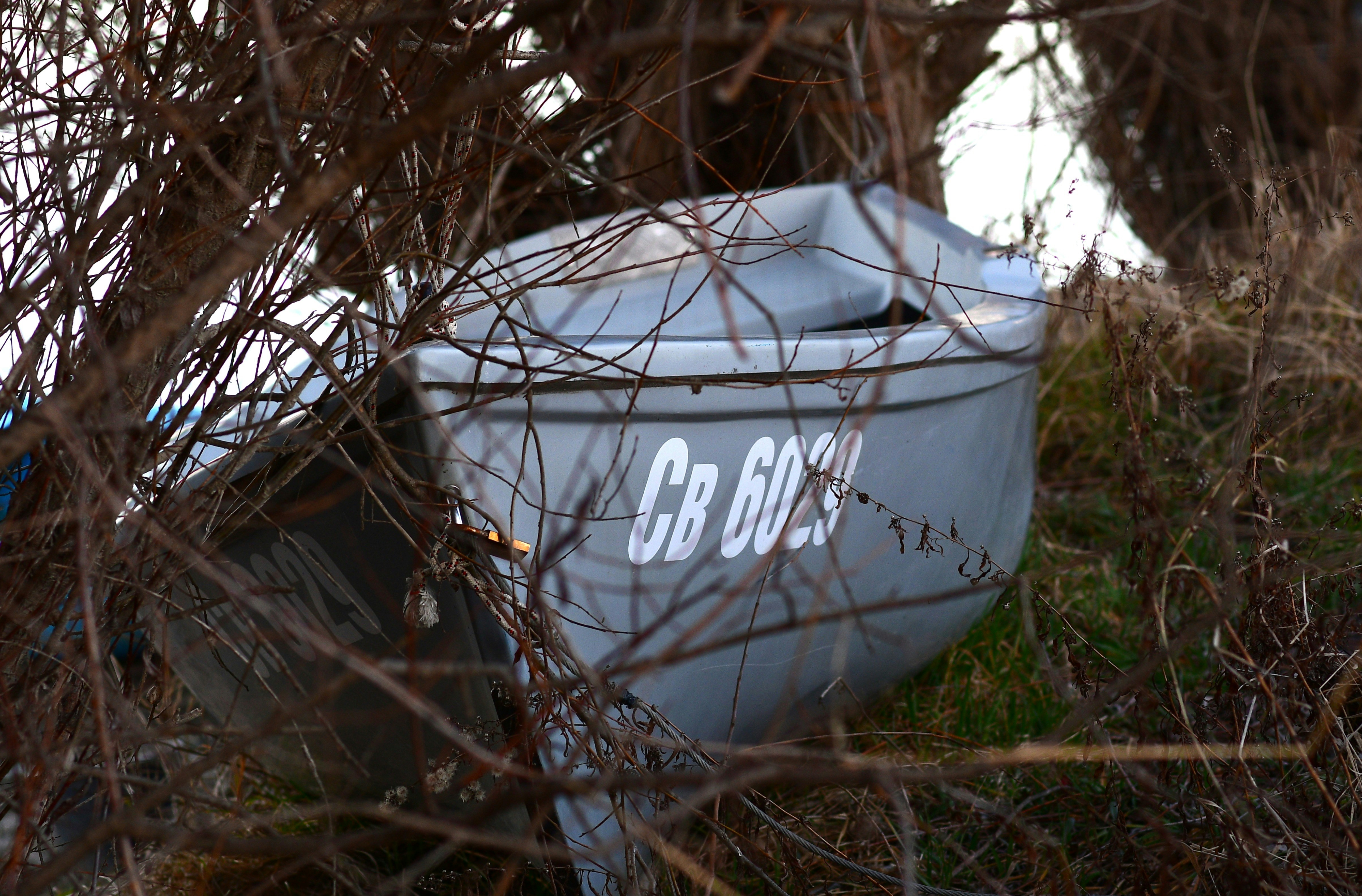 A weathered boat partially obscured by overgrown branches, showcasing a blend of human craftsmanship and nature's reclamation.