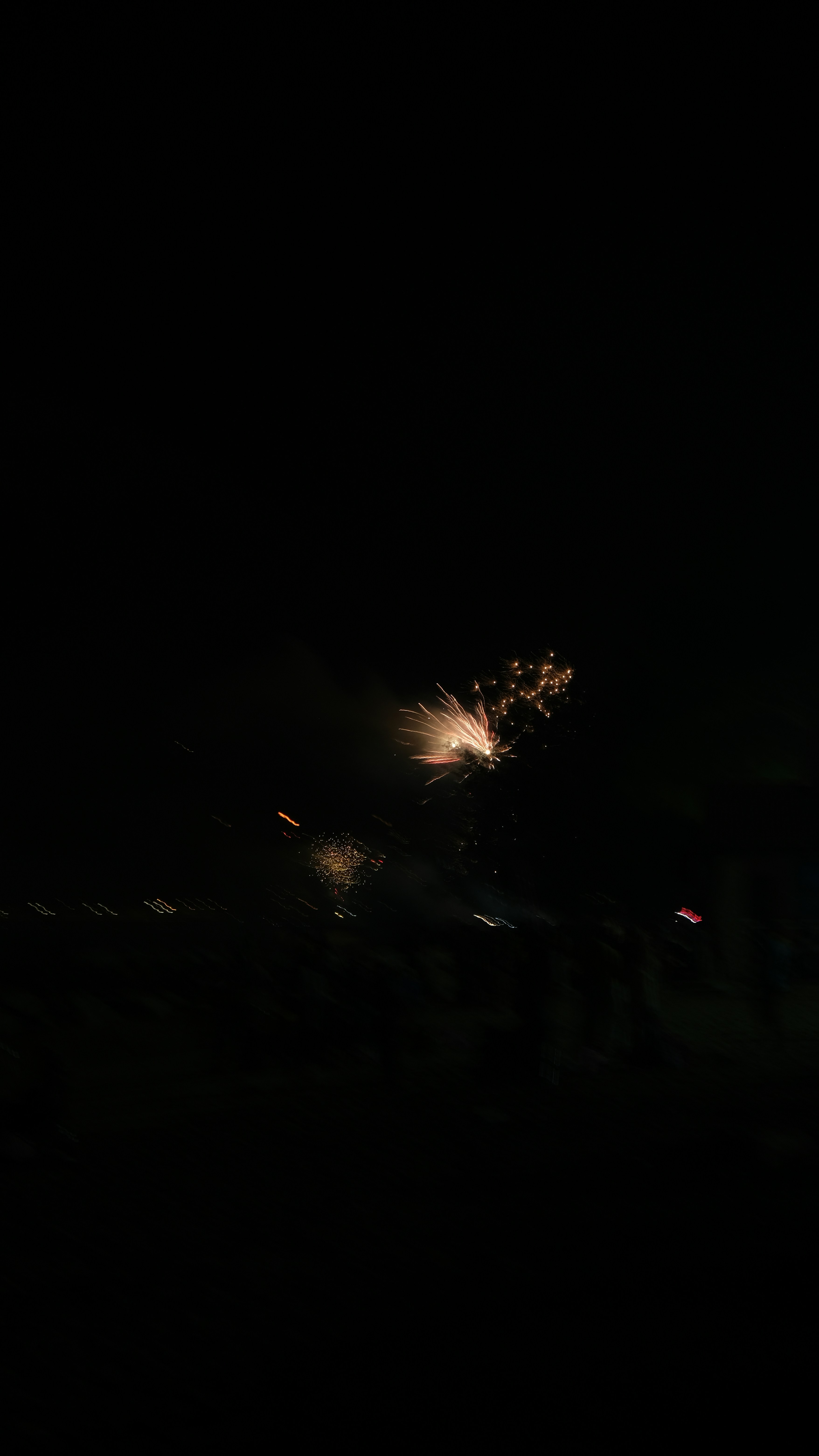 Firework Burst Over a Silent Nightscape