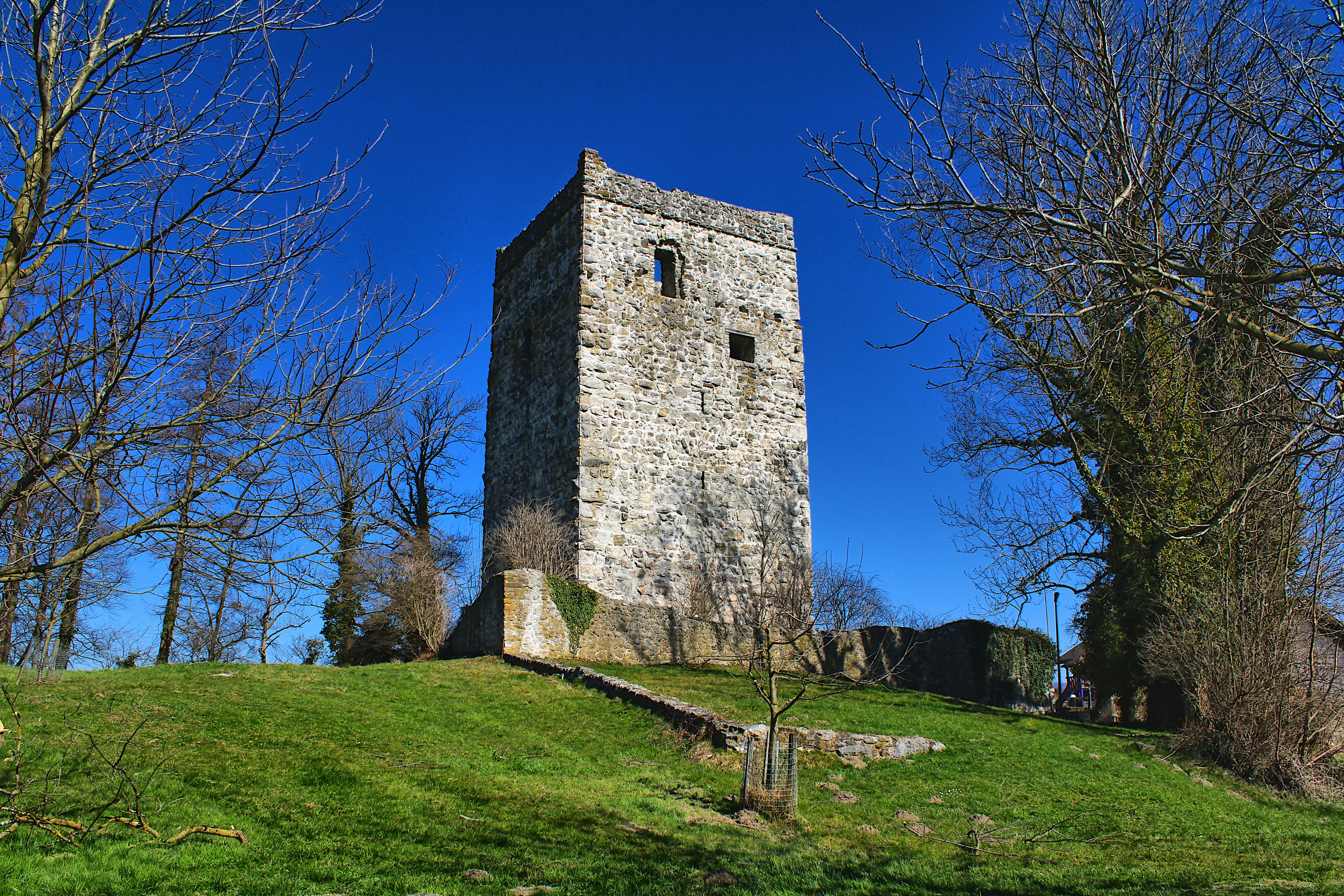 Blatten Castle Ruins: The landmark of the municipality of Oberriet in St. GallenClaudio Biesele