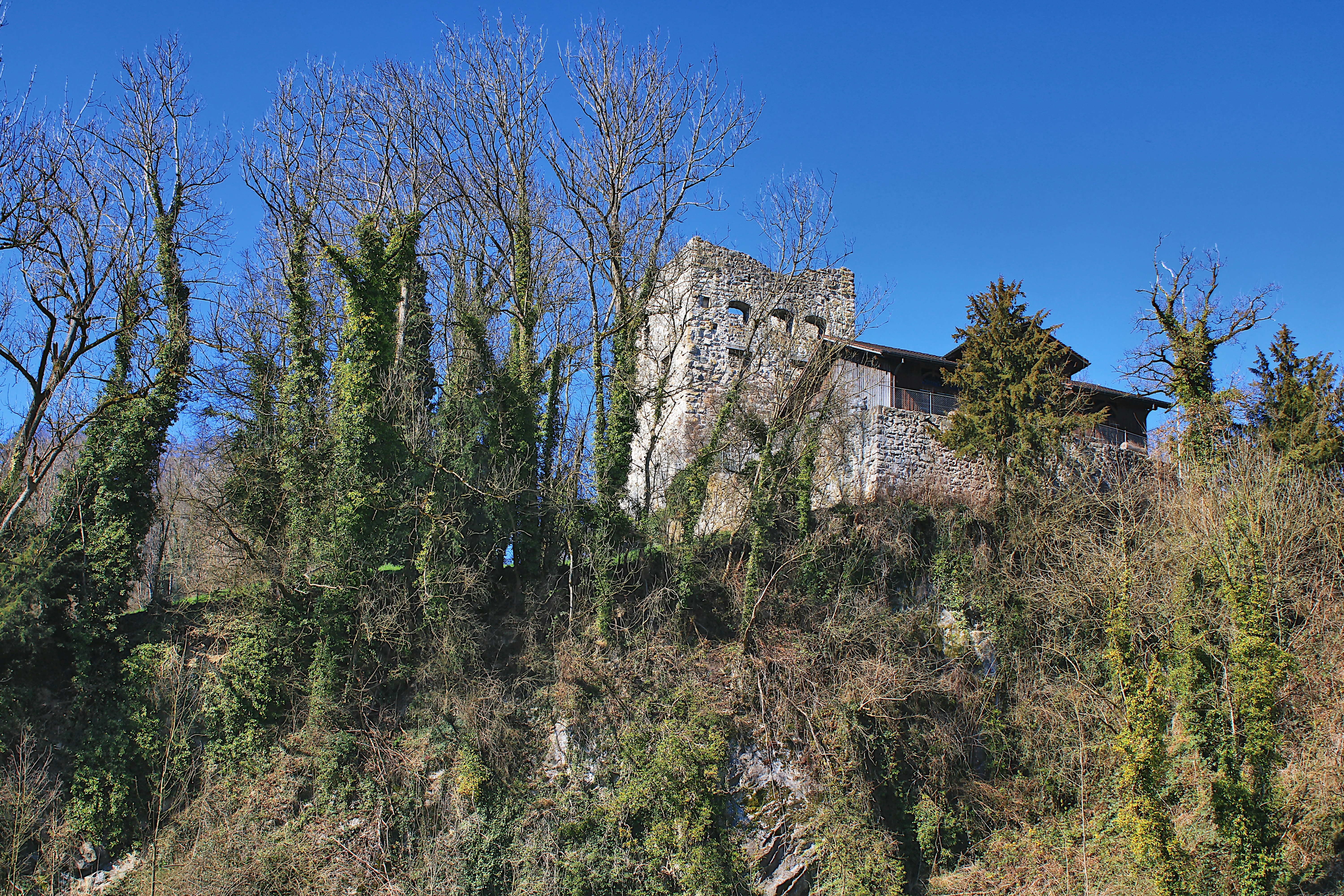 Whispers of History: The Ivy-Clad FortressClaudio Biesele