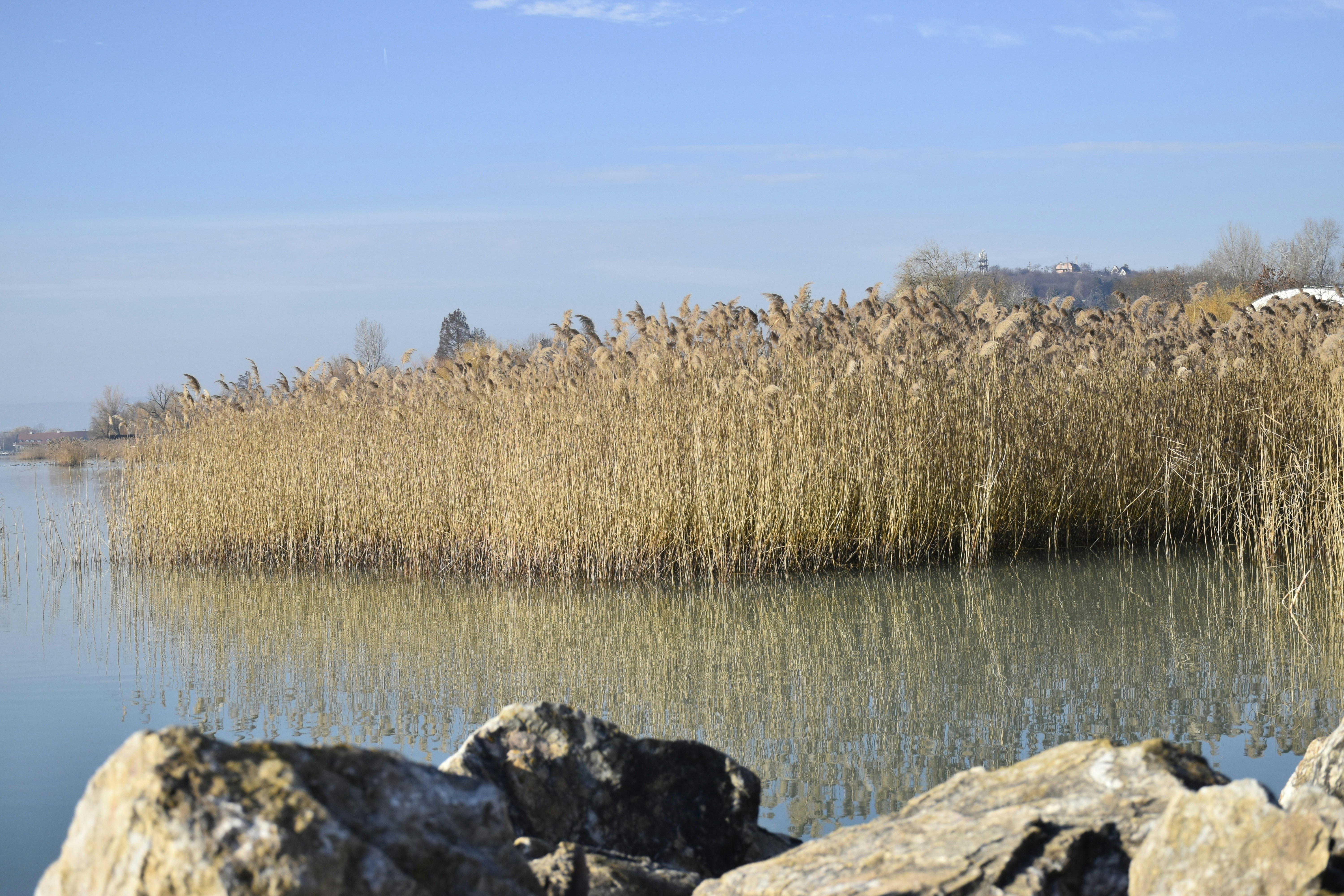 Photo by Z N with Nikon D3500