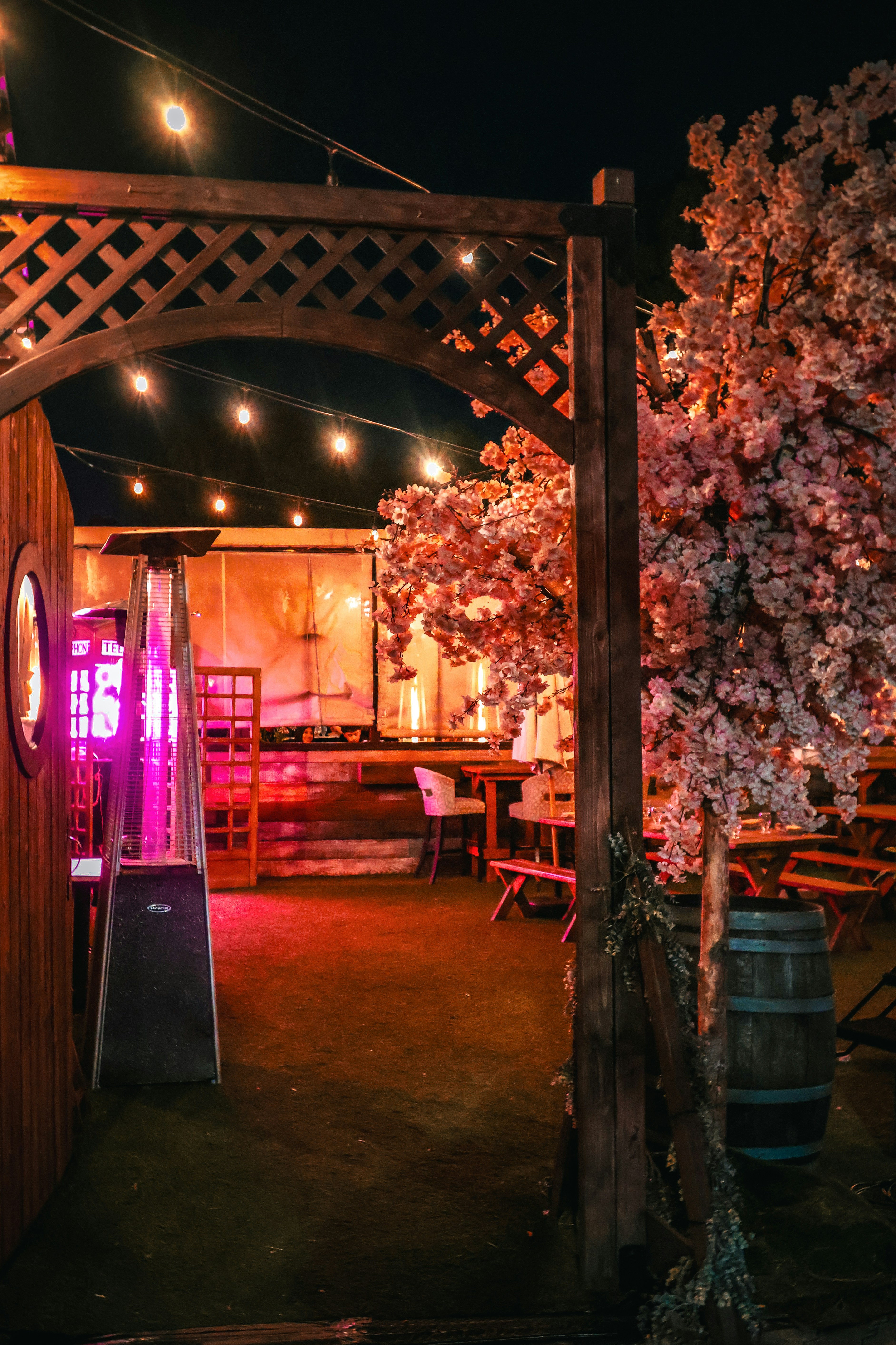 Night-market Oasis: Warm Lights, Wooden Arch, and blossoming trees