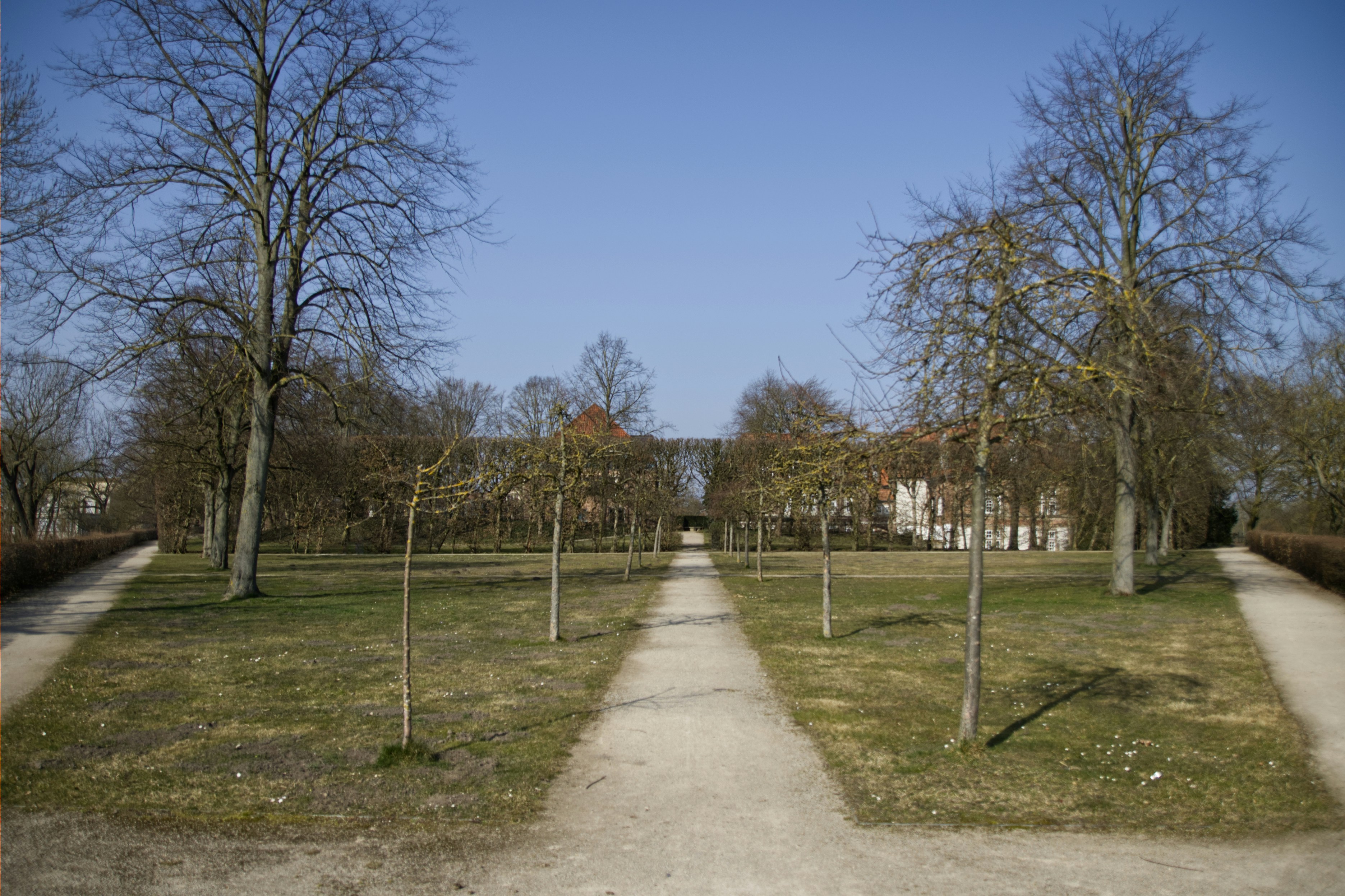 Symmetry in Stillness: A Pathway Through Nature's Embrace