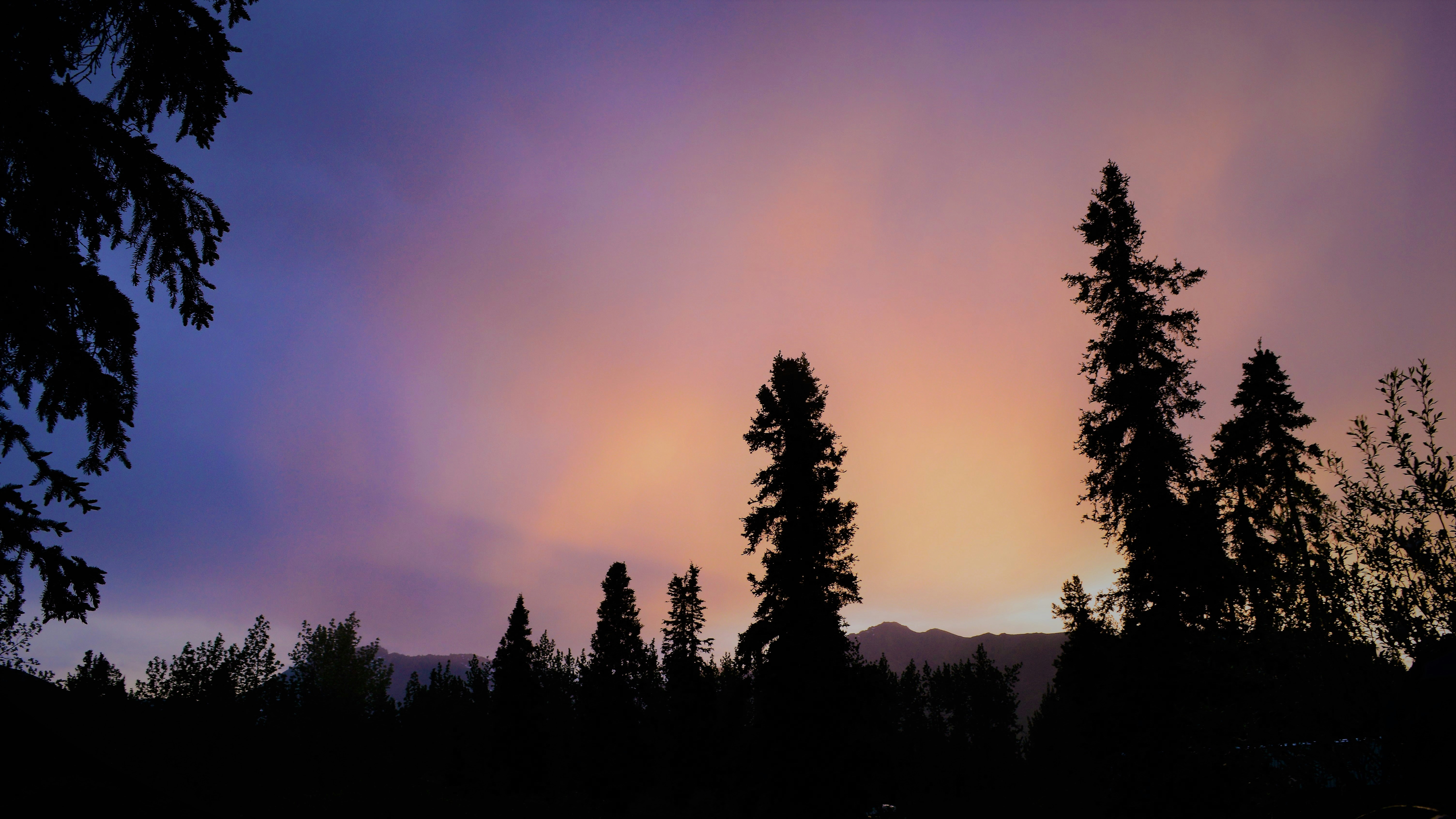 Silhouetted trees under a vibrant, colorful sunset sky.