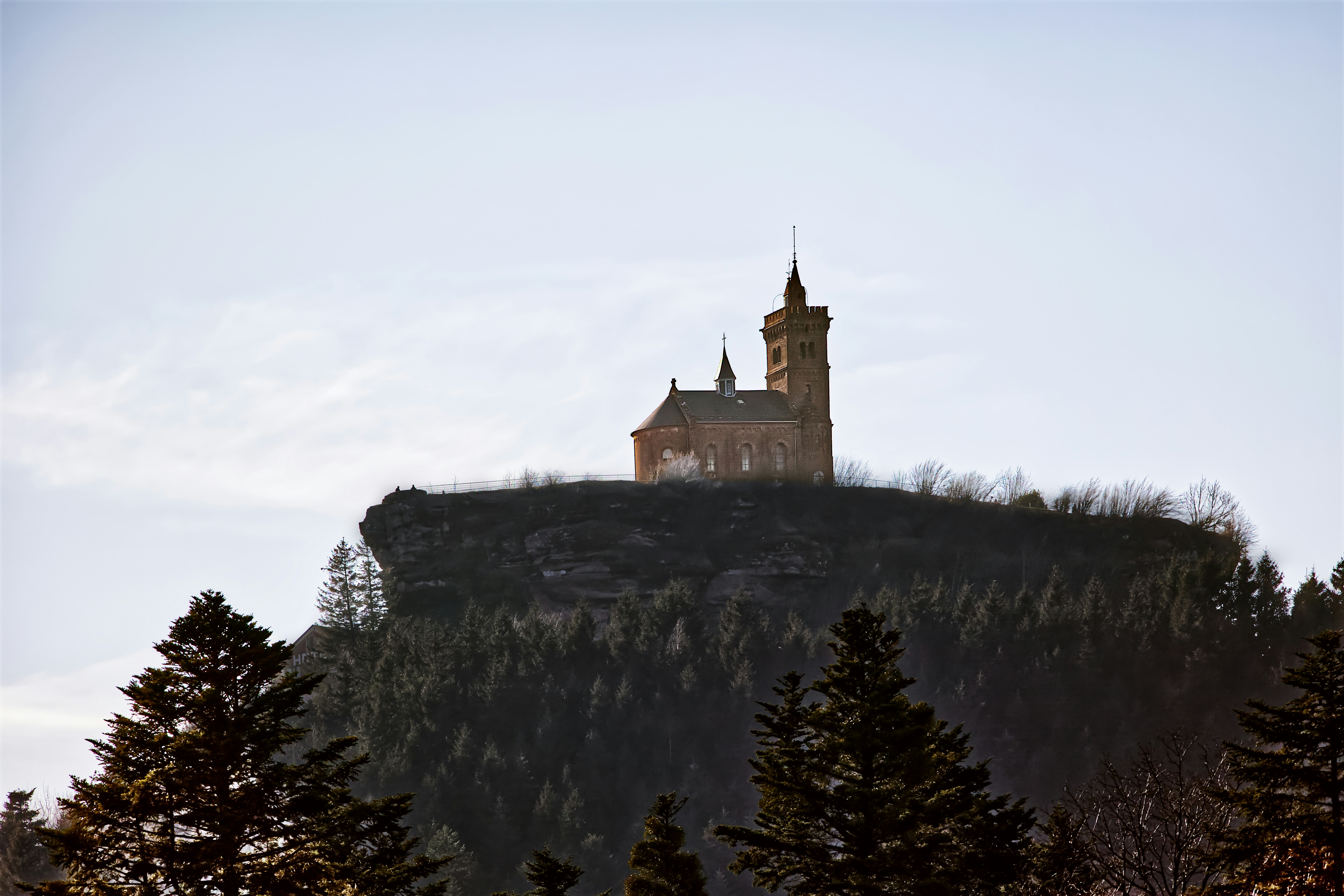 Castle on the Crest: A Stone Sentinel Above the Pines