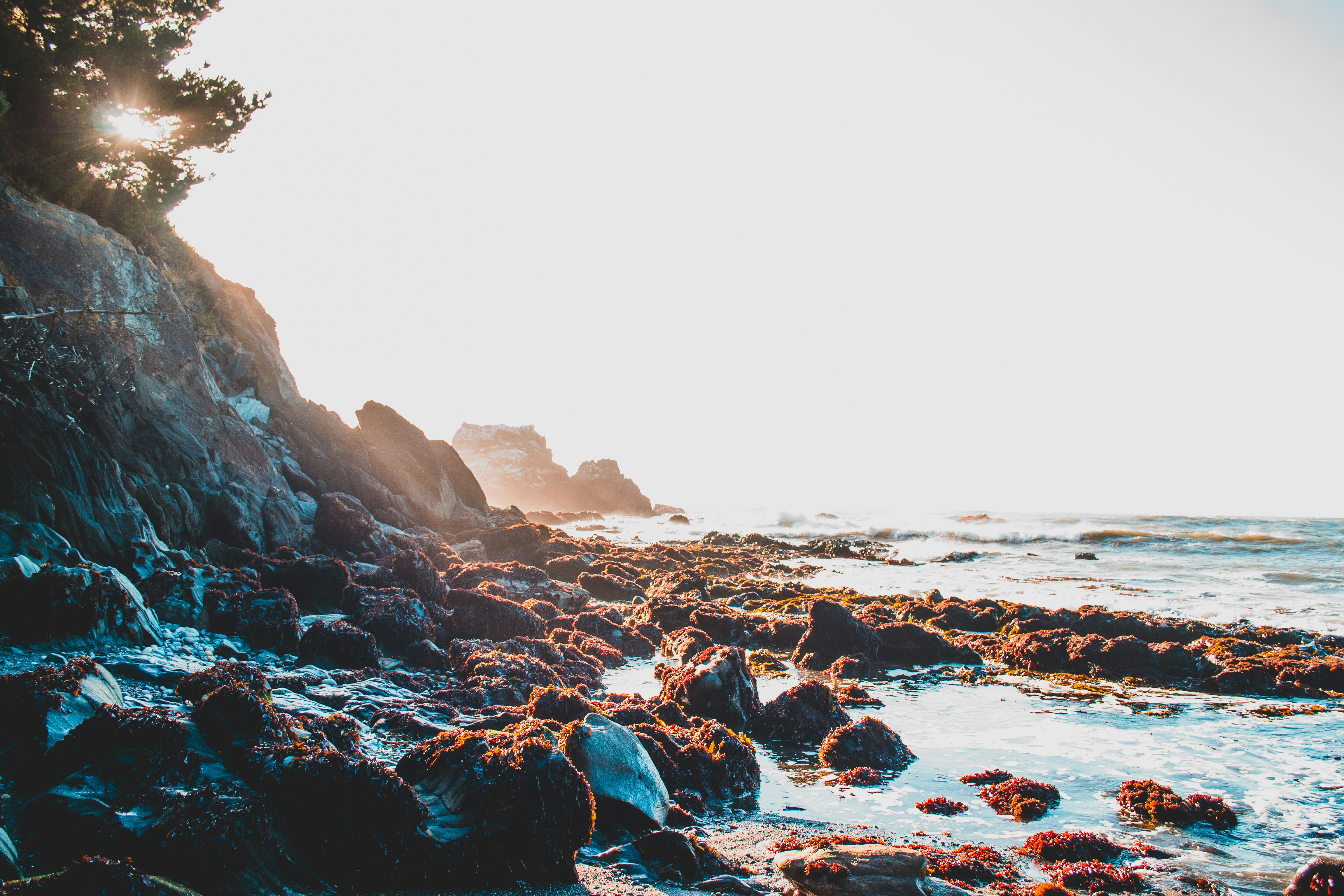 Rocky shoreline bathed in sunlight with waves gently lapping against the coast.