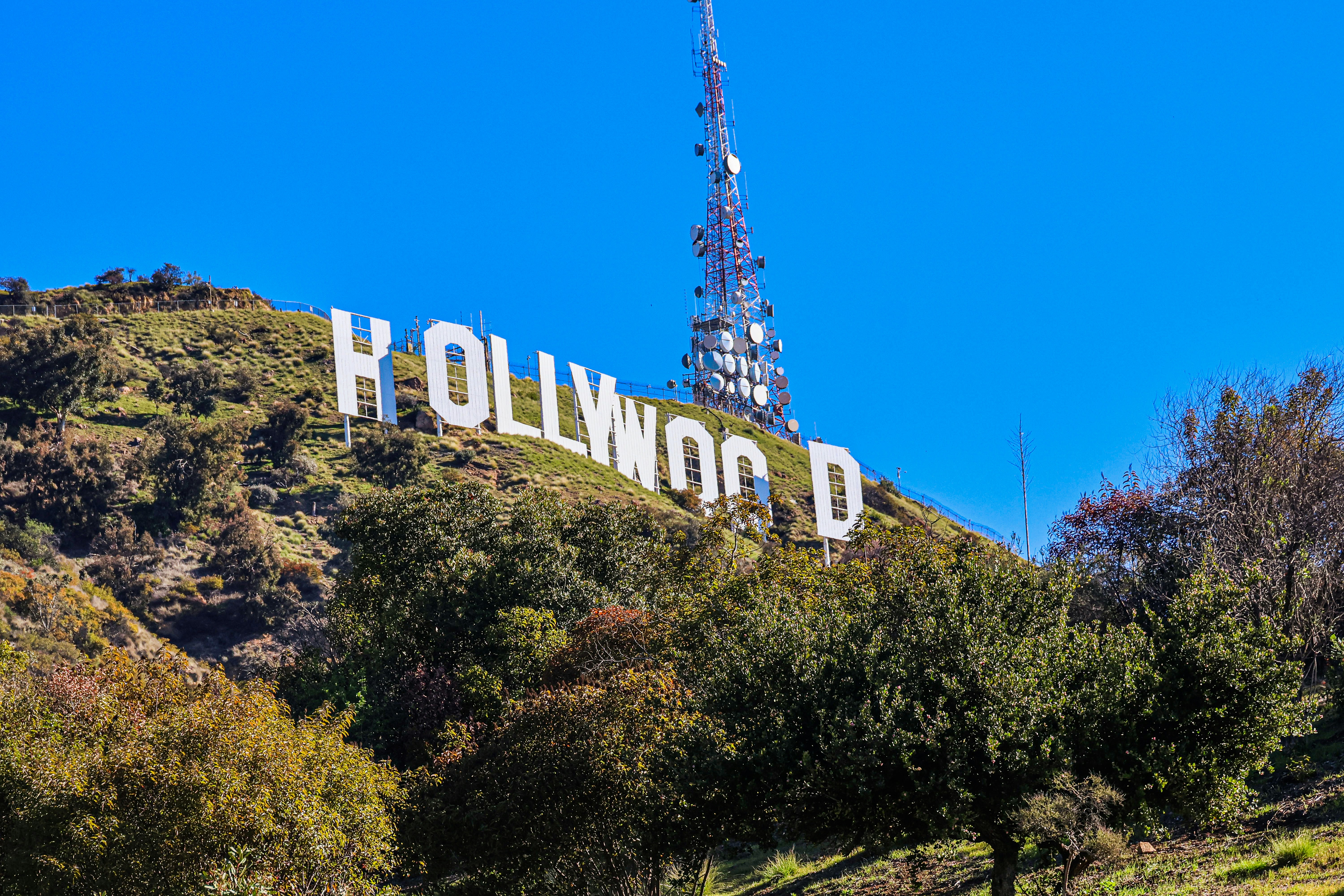 Sunlit Hollywood Sign Reigning Over a Hillside Under a Clear Blue Sky