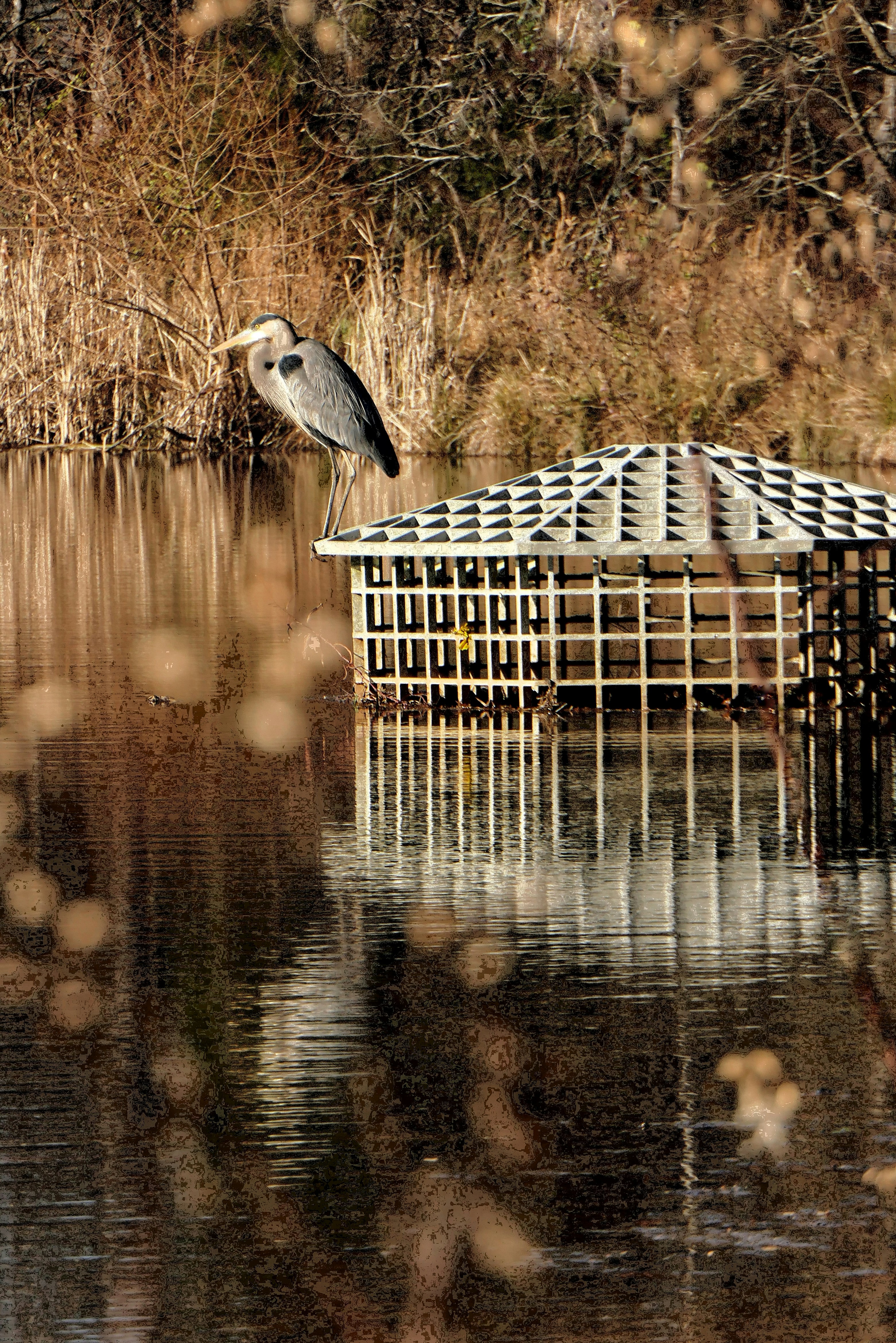 Sample photo from Panasonic Lumix FZ2500