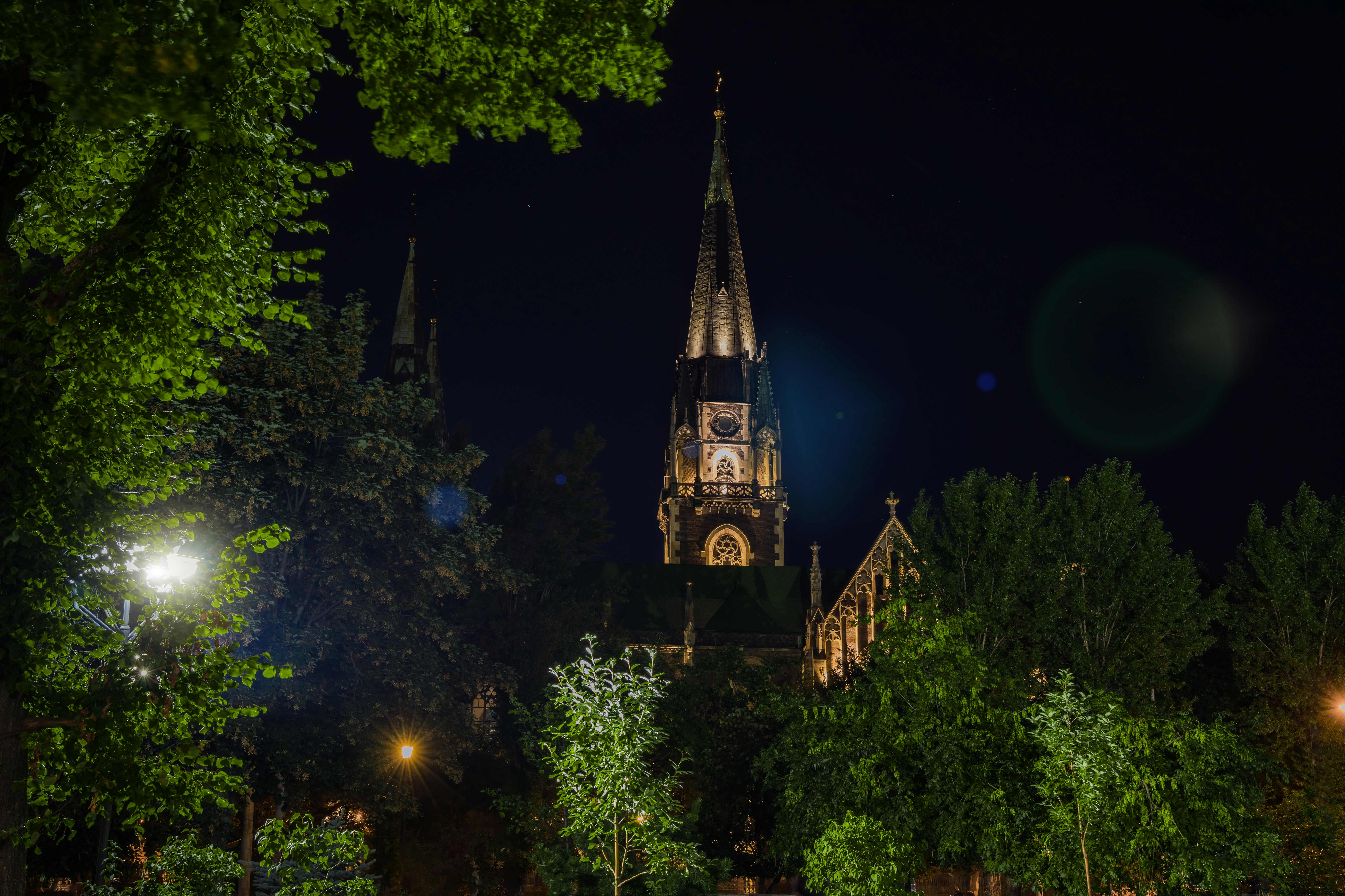 Gothic cathedral tower illuminated against a clear starry sky, framed by lush green foliage and glowing streetlights.