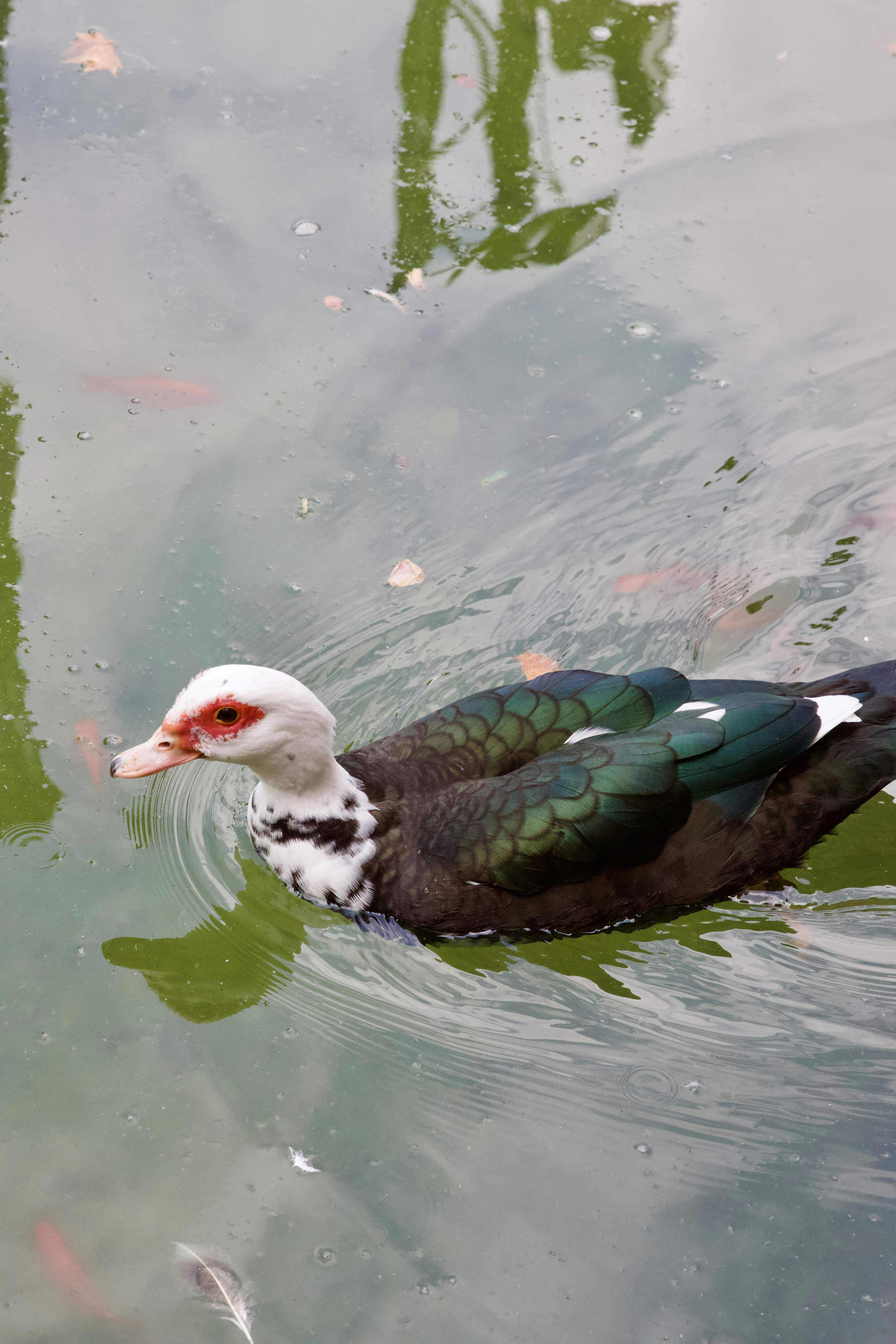 Photo by Tuğçe Ertaş Al with Canon EOS 90D