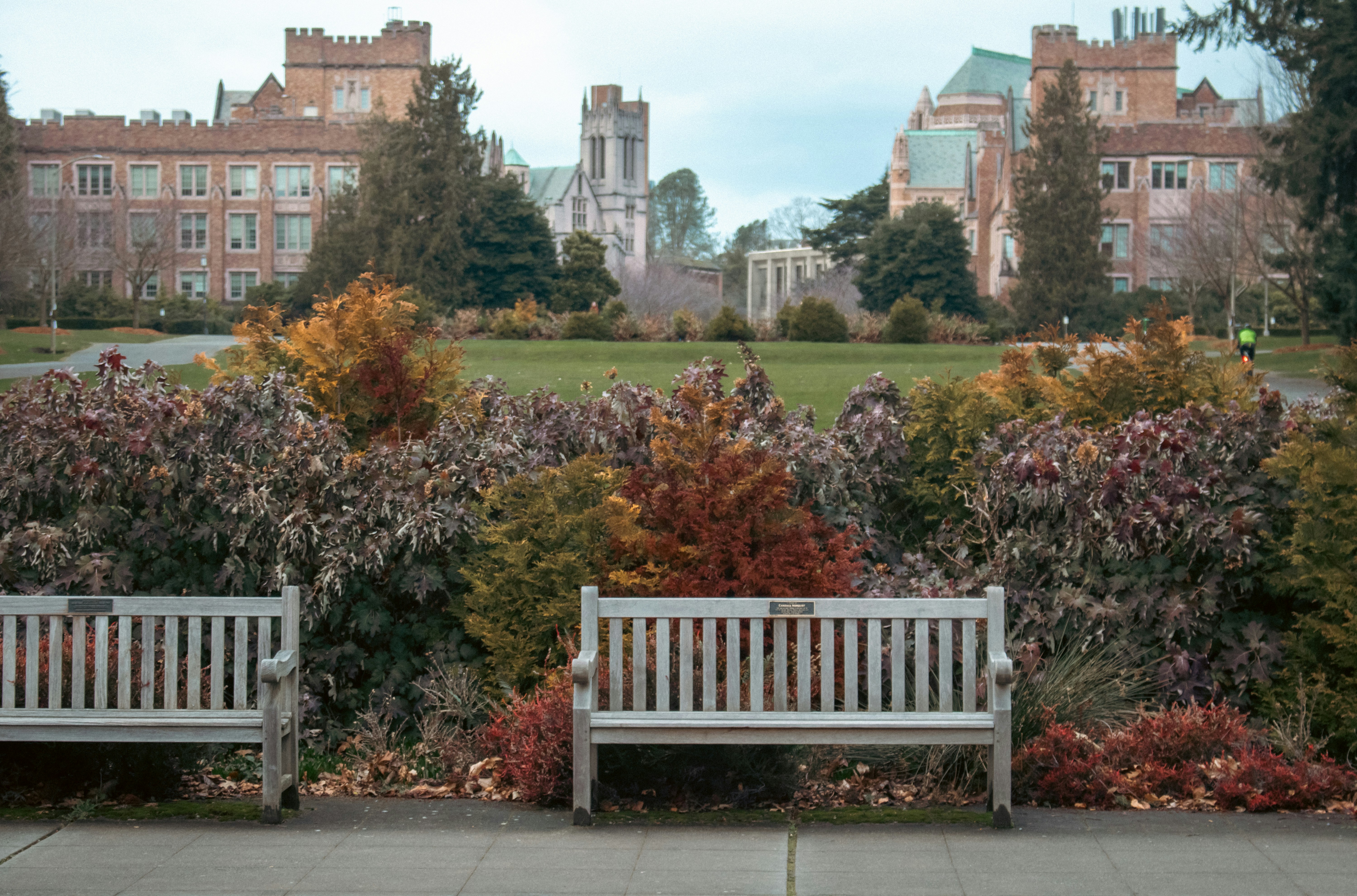 Wooden benches facing vibrant autumn foliage with historic university buildings in the background.