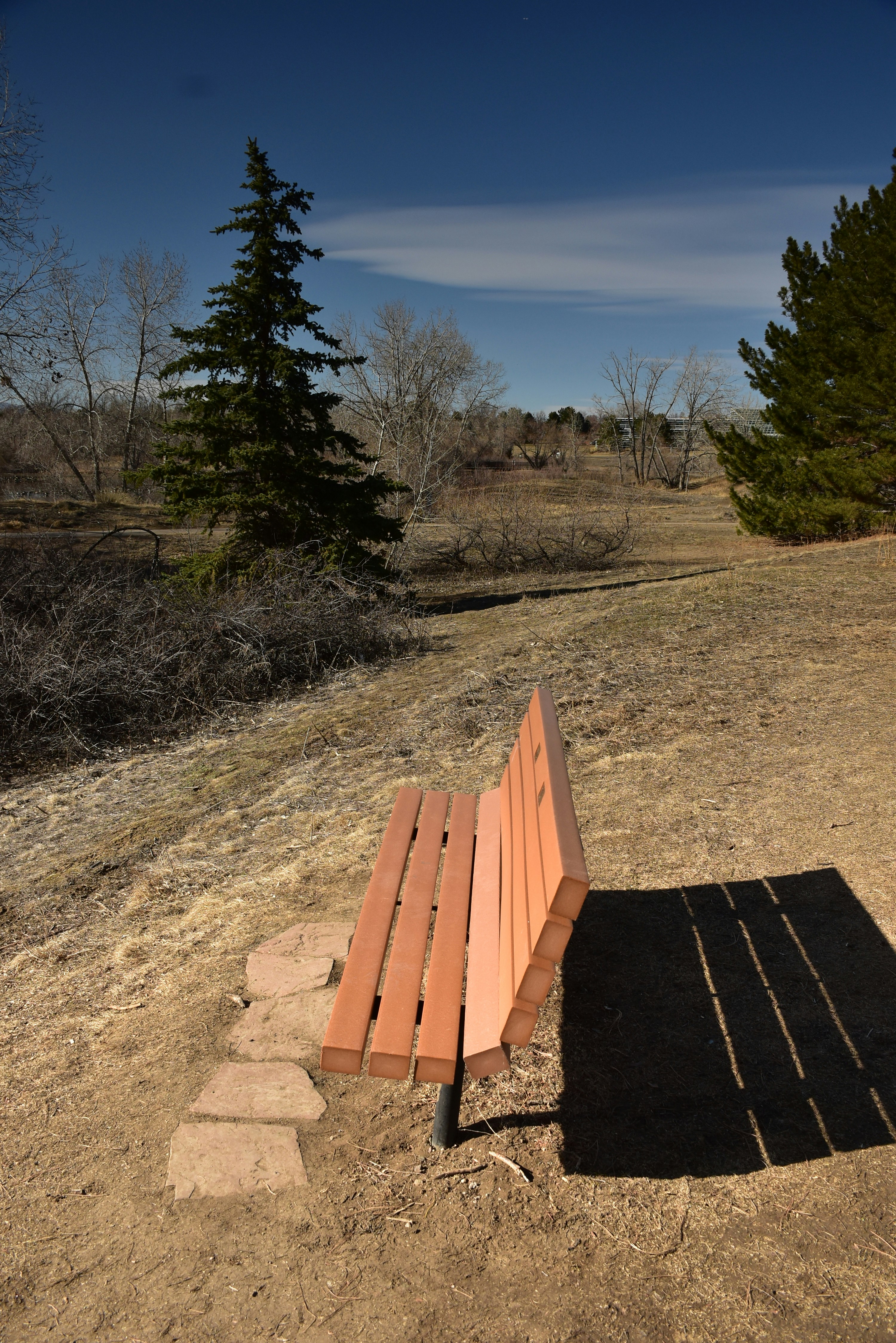 A wooden park bench sits beside a pathway.