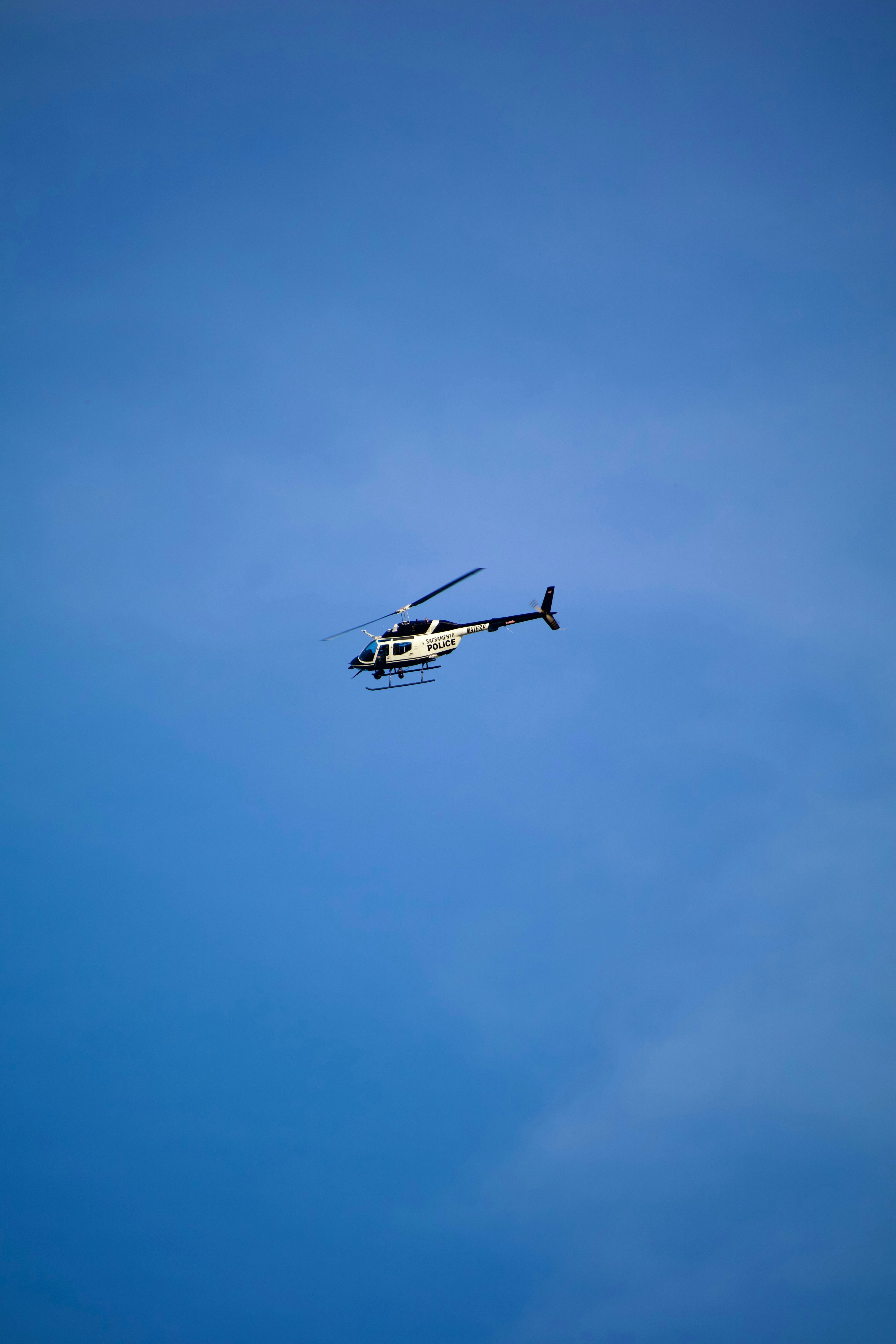 A helicopter flies through a bright blue sky. photo – Free Animal Image ...
