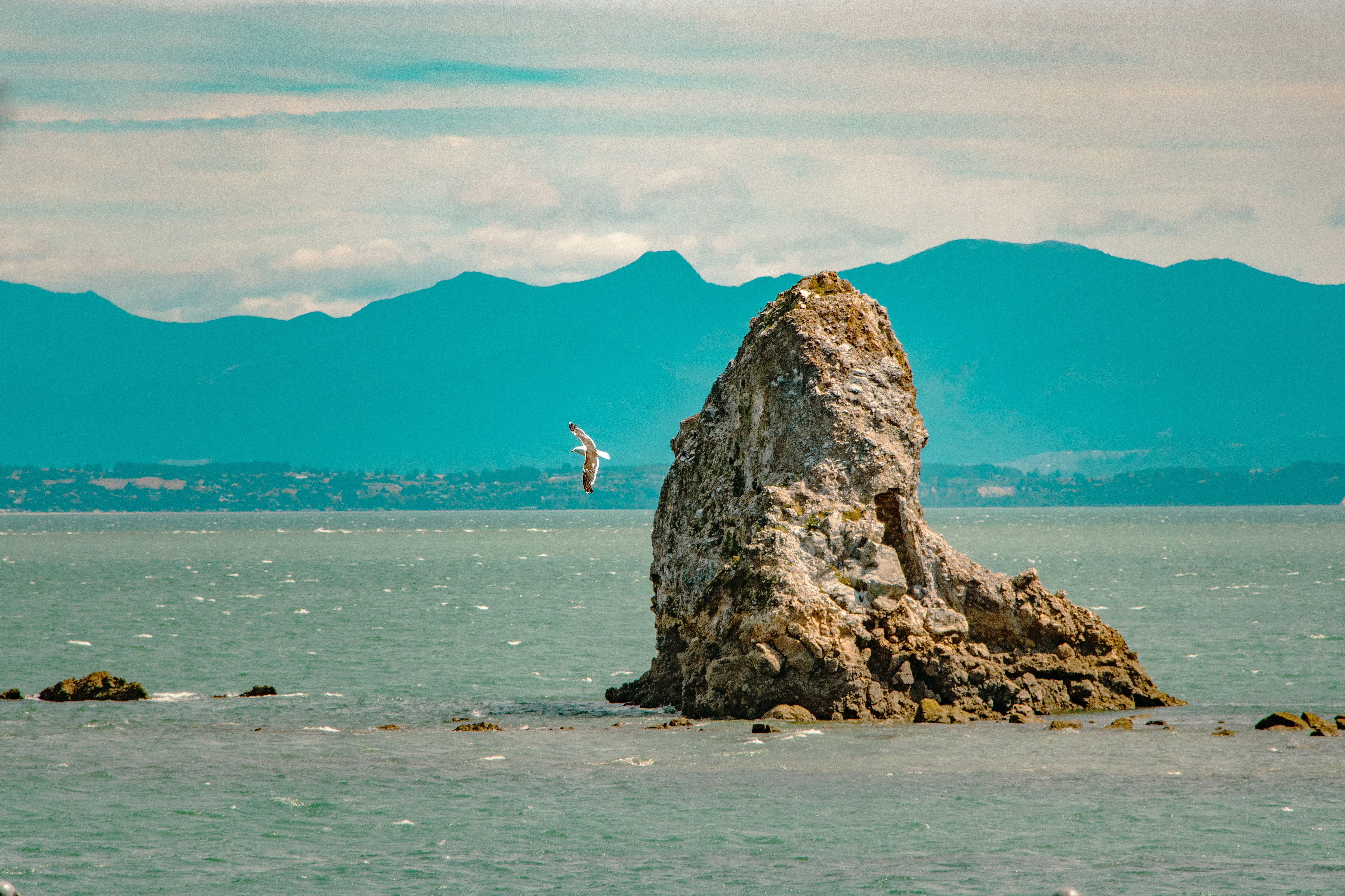A seagull gracefully glides above a rugged rock formation, with distant mountains framing the serene coastal backdrop.