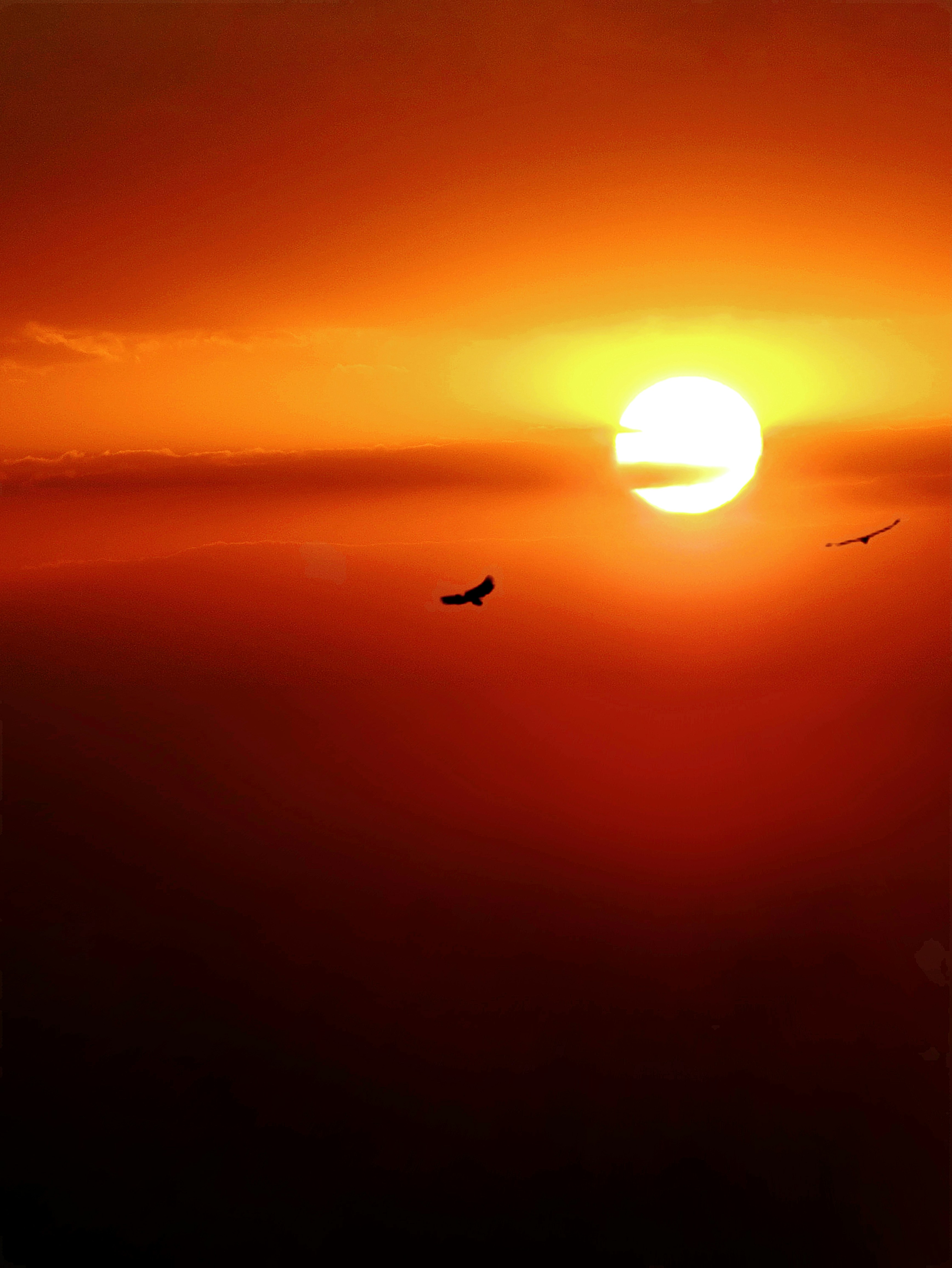 Sunset sky burns in orange and red as a bright sun sits near the horizon. Two silhouettes of birds glide beneath the glowing disc, set against distant dark hills.