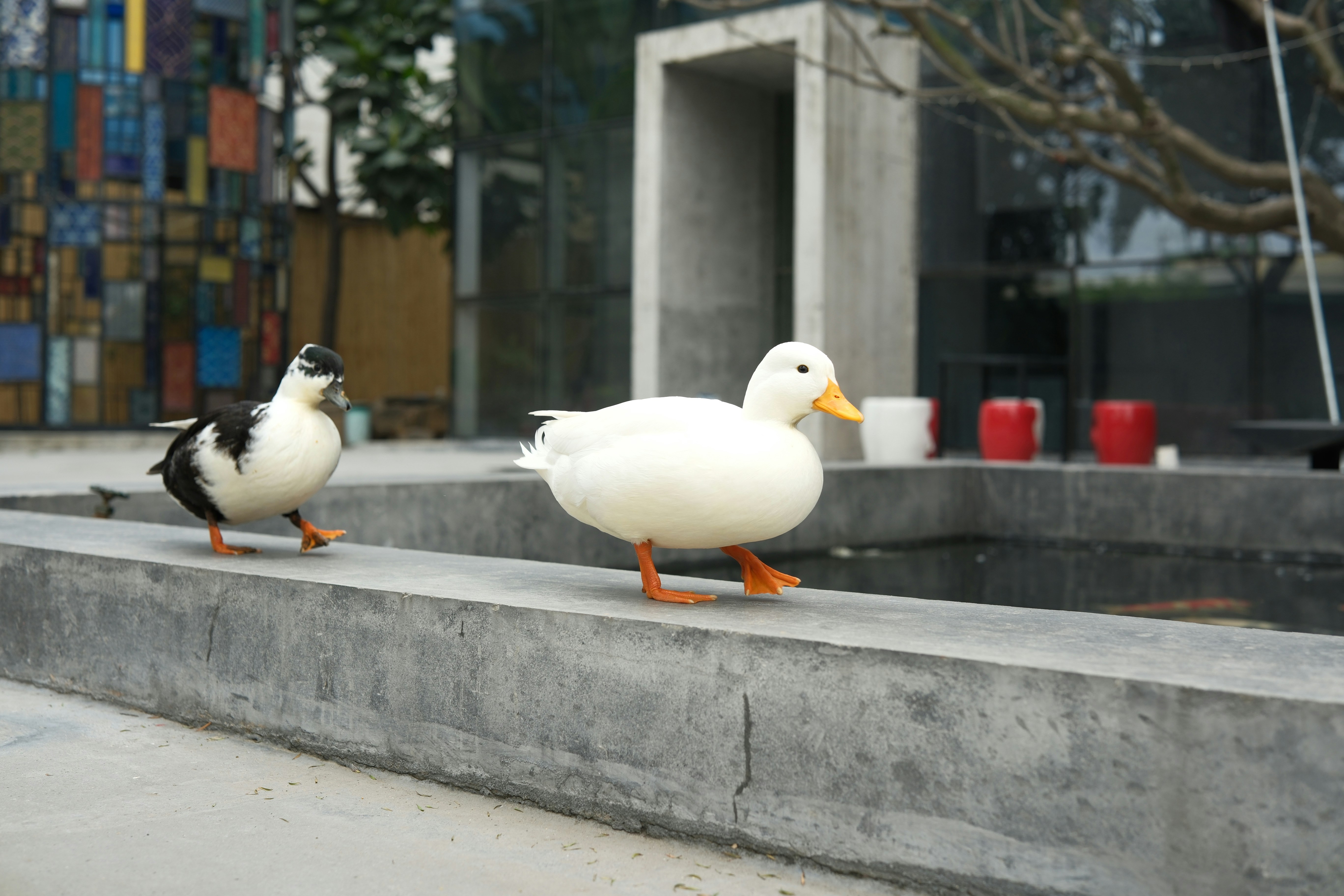 Photo by Roy Wen with Fujifilm X-T5