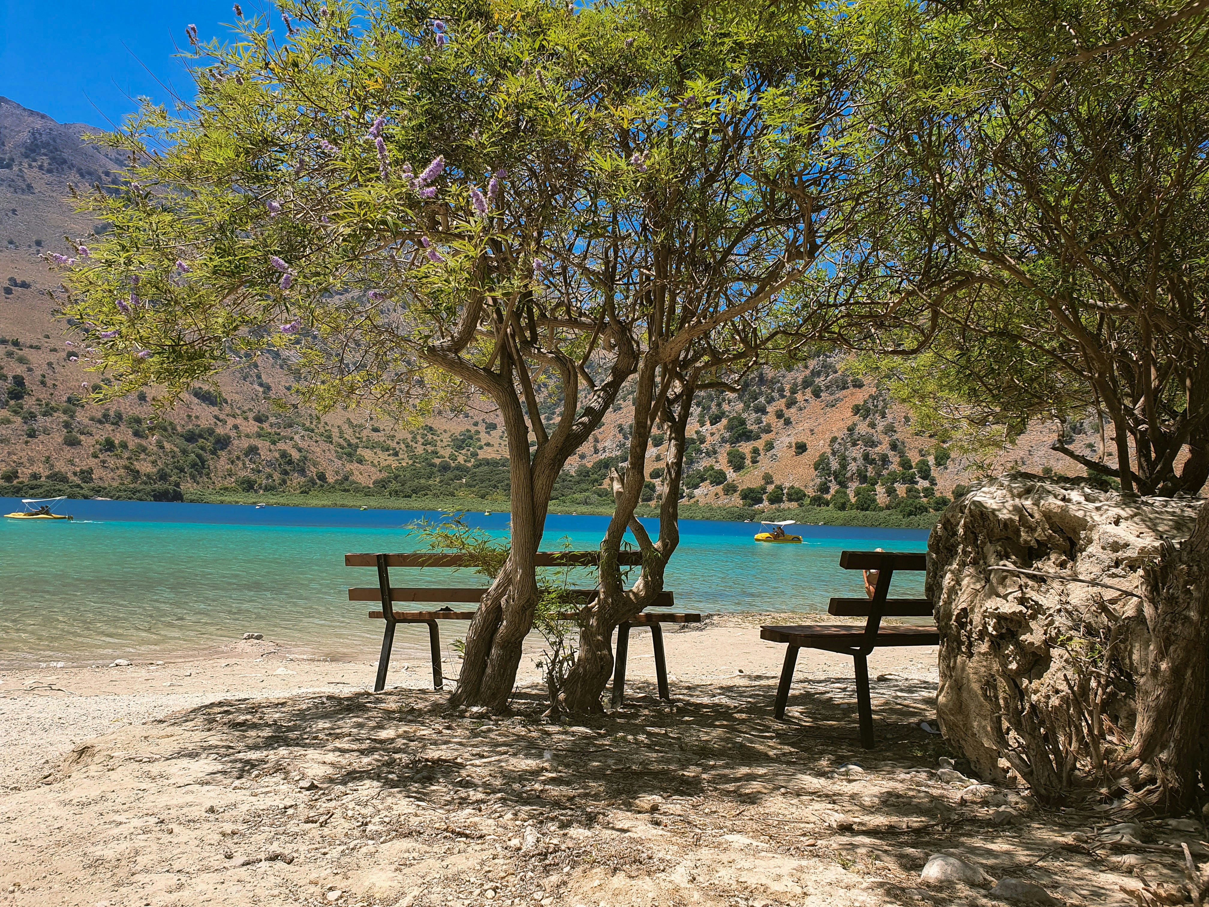 Wooden benches beneath leafy trees by a turquoise lake with distant hills.