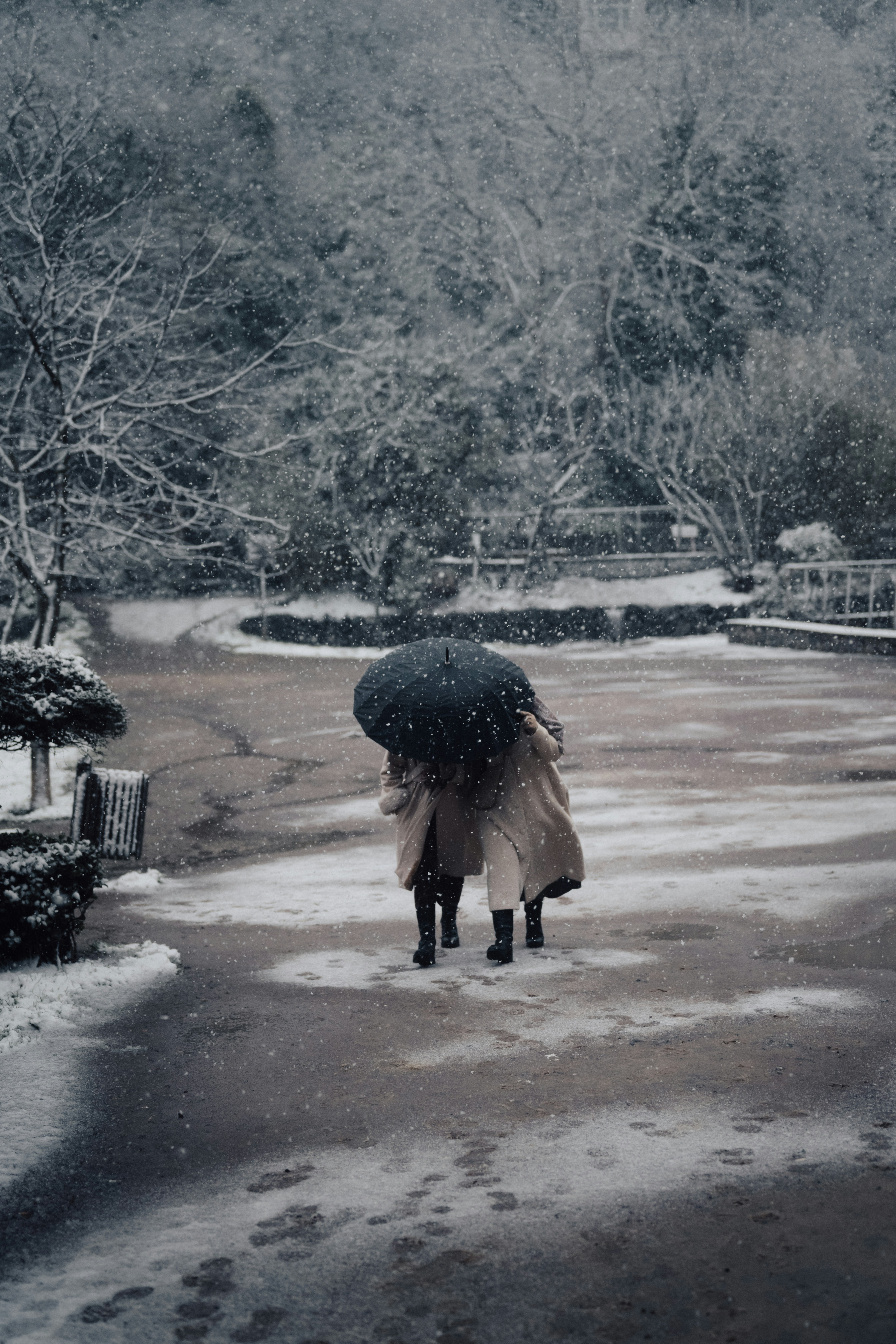 Whispers of Winter: A Stroll Under the Umbrella
