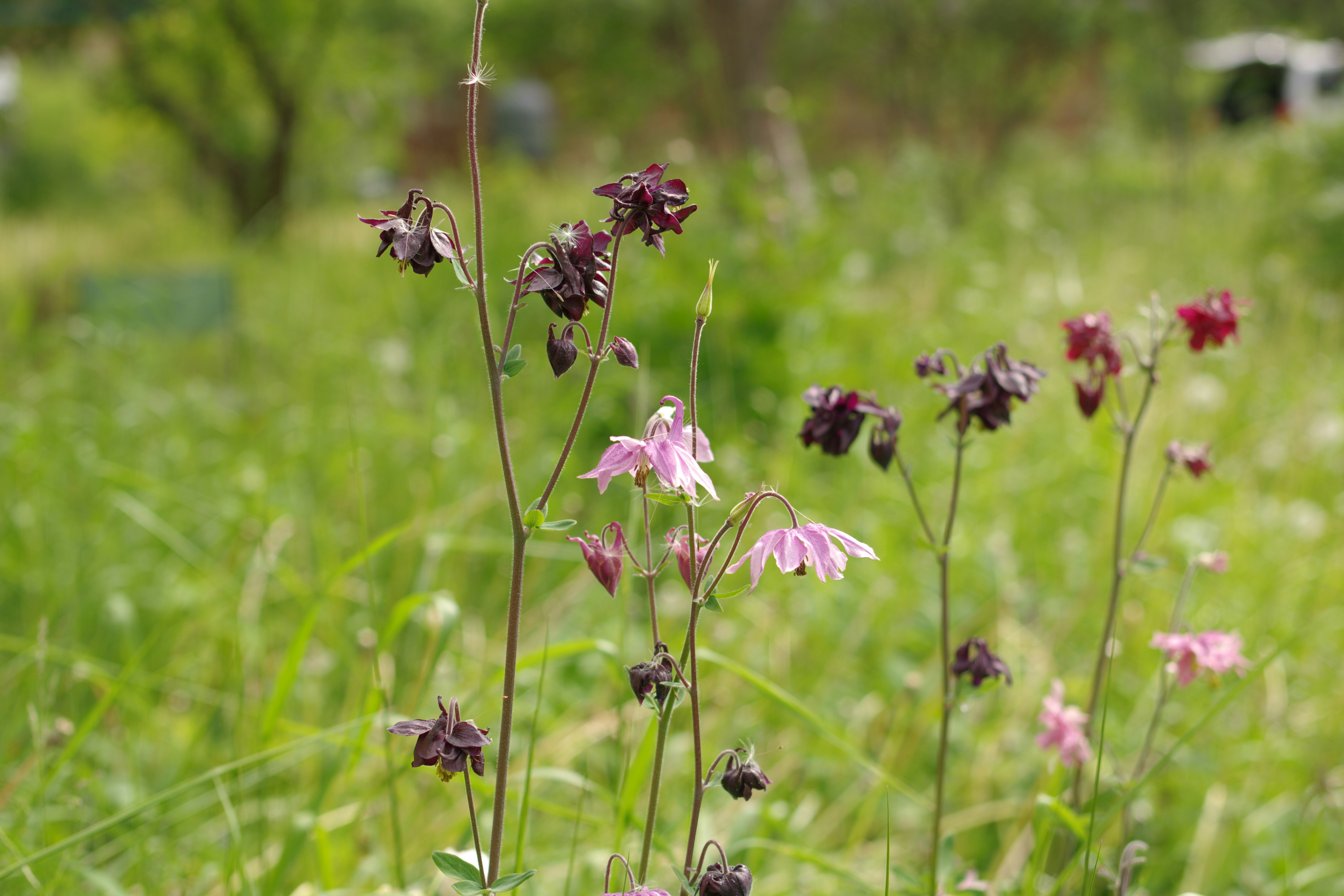 Whispers of Spring in Subtle Hues