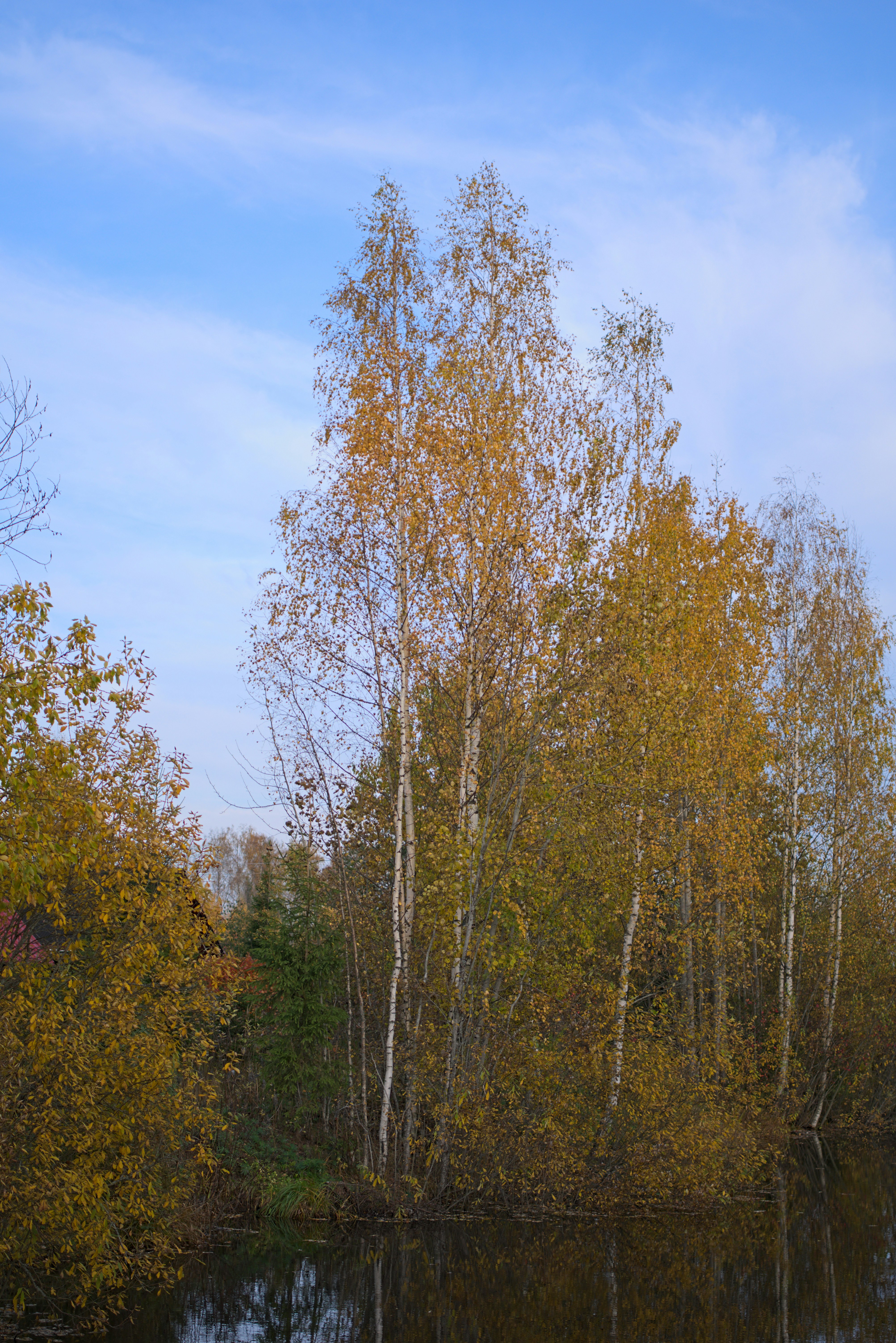 Photo by Andrew with Pentax K-70