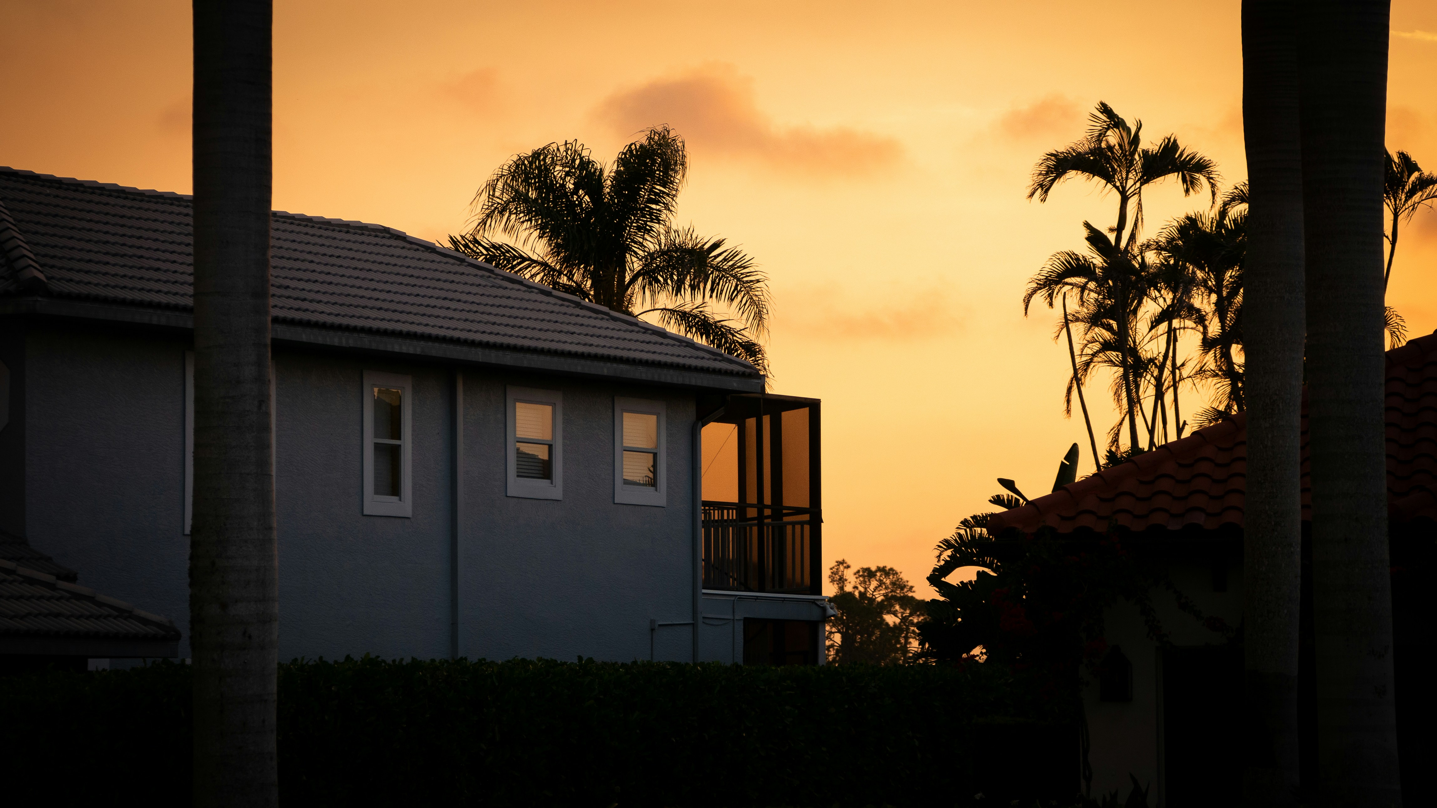 Golden sunset silhouettes palm trees and suburban rooftops.