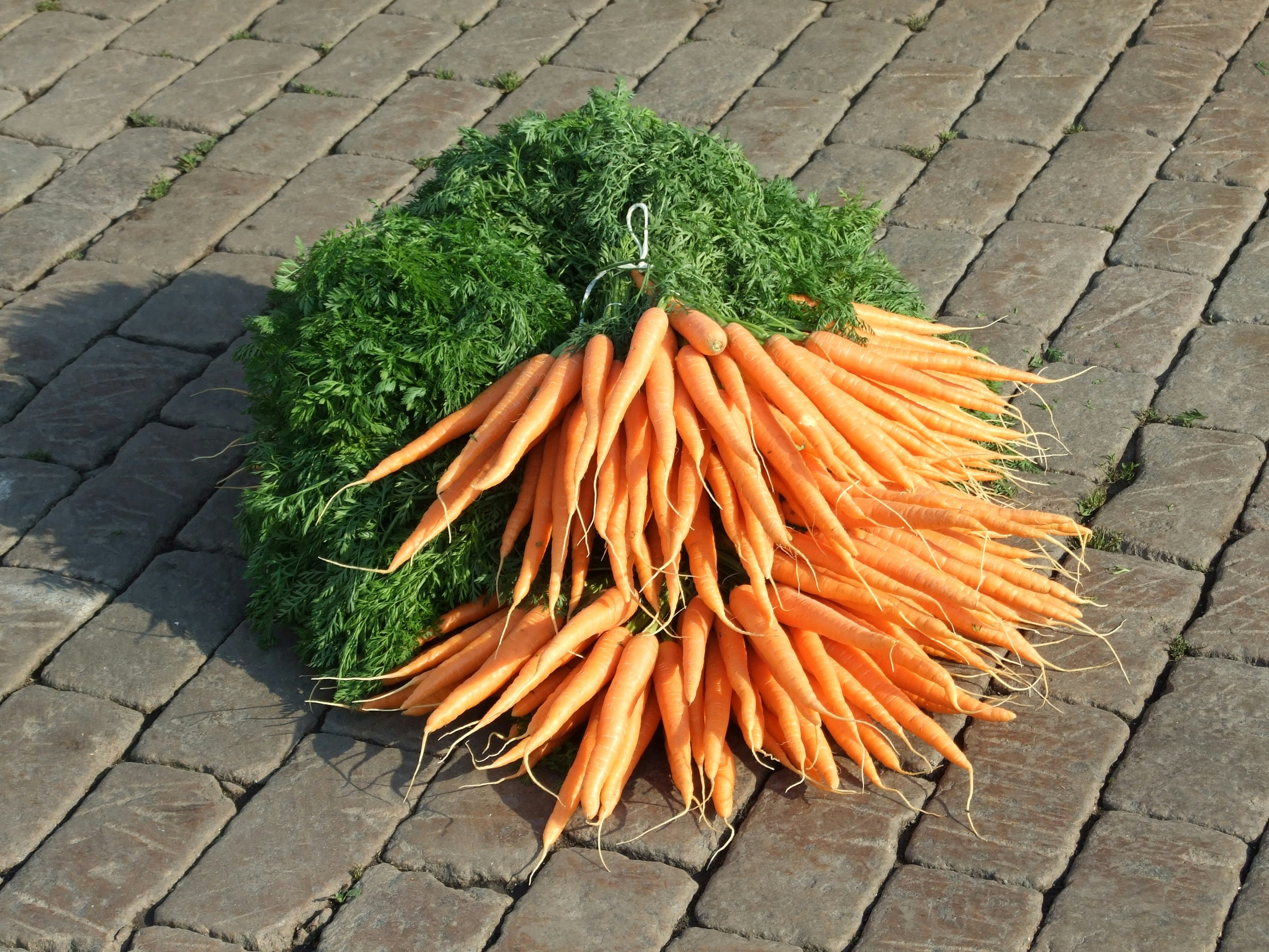 Photo by Kirill Razumov with Fujifilm FinePix S6500 FD