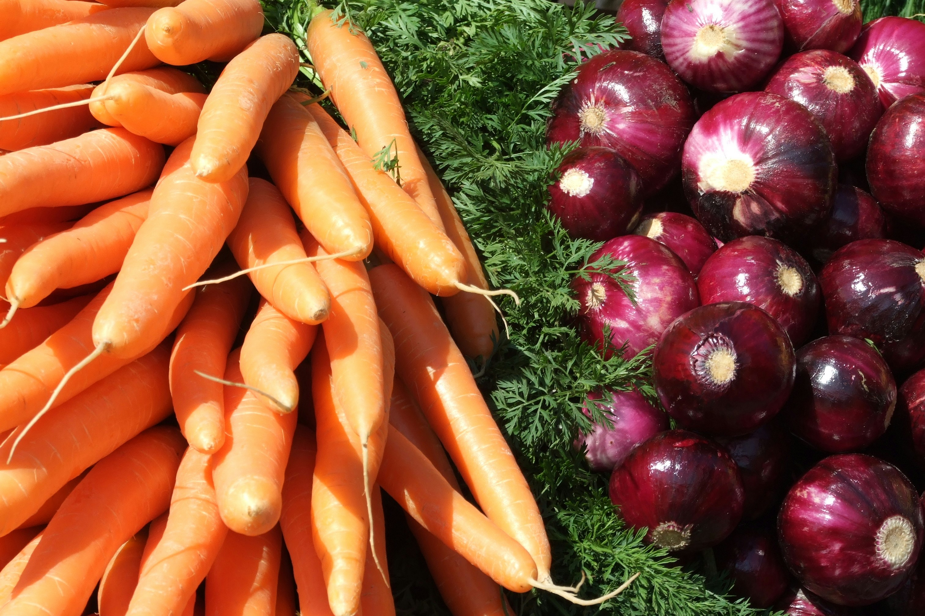 Freshly harvested carrots and red onions arranged side by side, showcasing vibrant colors and textures.
