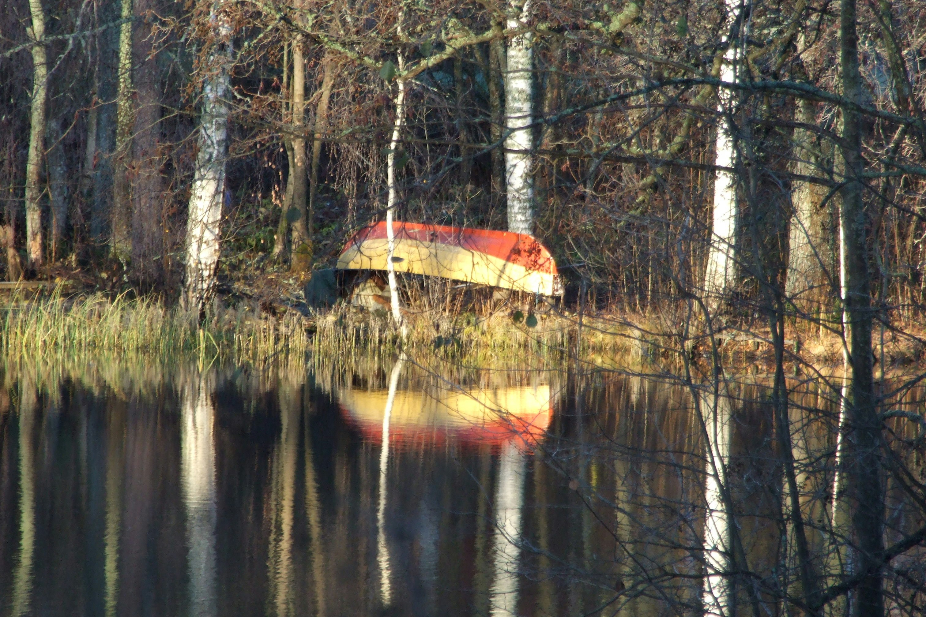 Quiet photograph of a red-yellow boat resting on a calm lake, its reflection framed by a stand of bare trees.