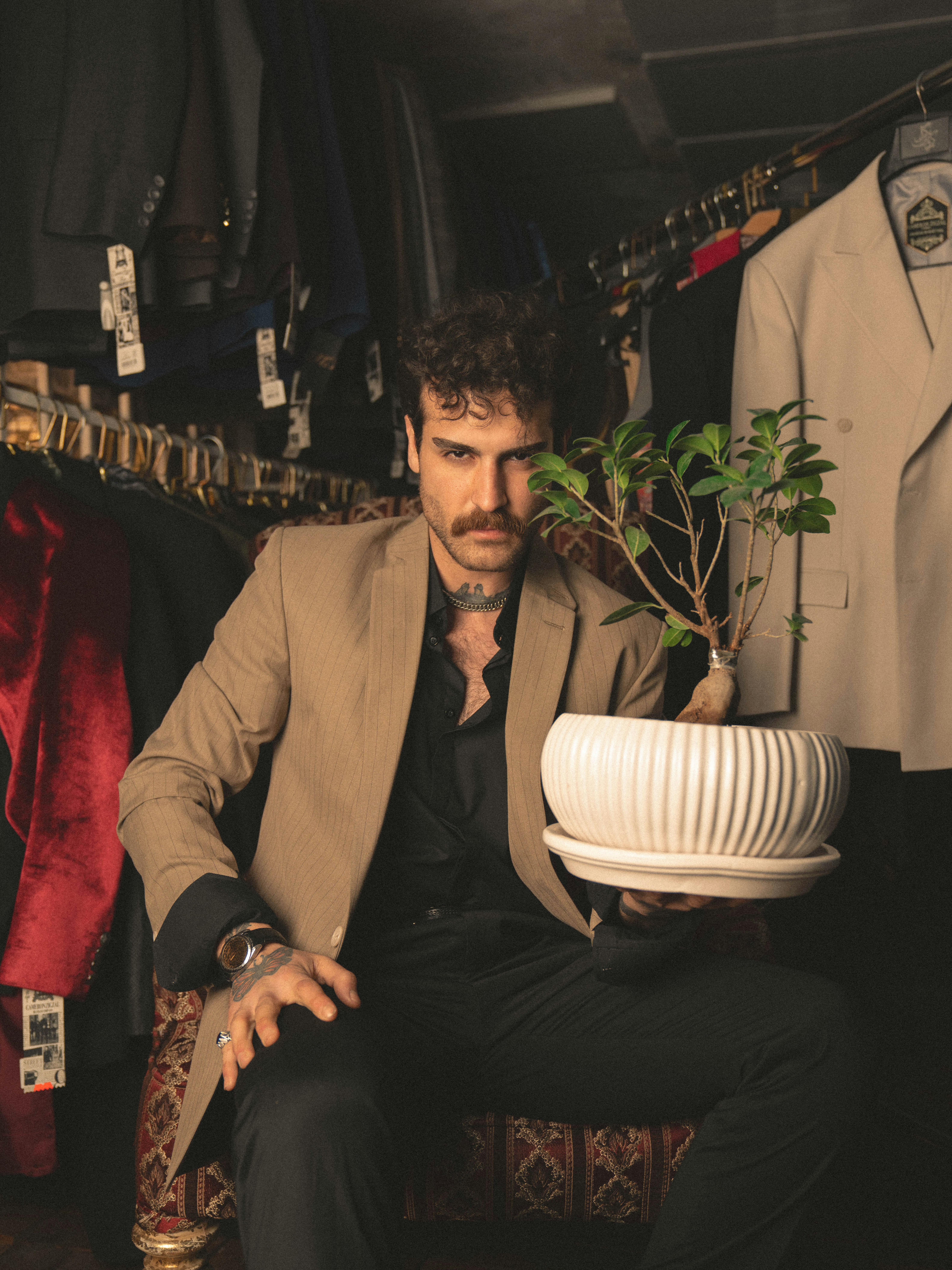 Gentleman with a Plant: Velvet Studio Confidence