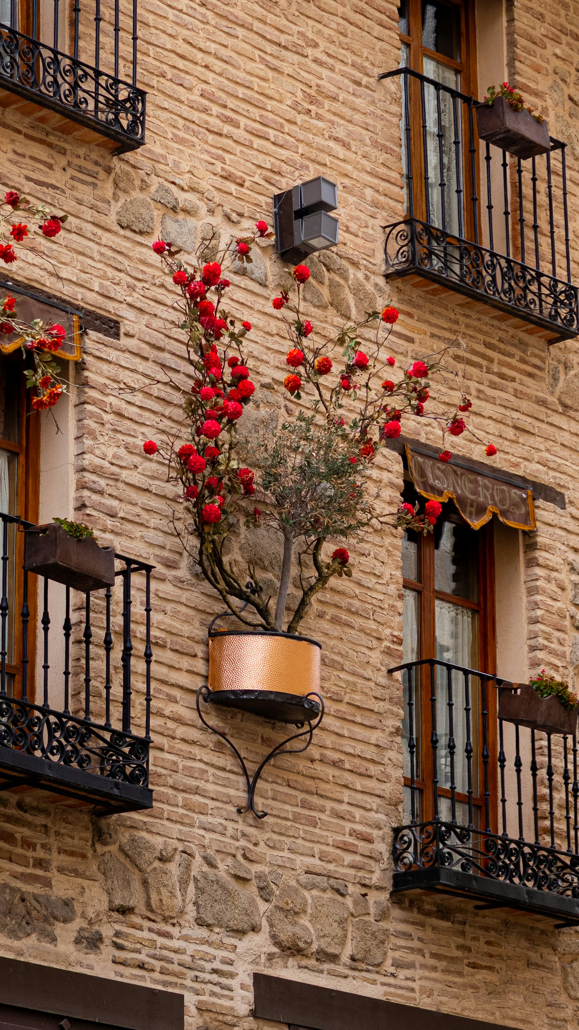 Scarlet Blooms Crown a Wall-Mounted Planter on a Sun-Warmed Stone Facade