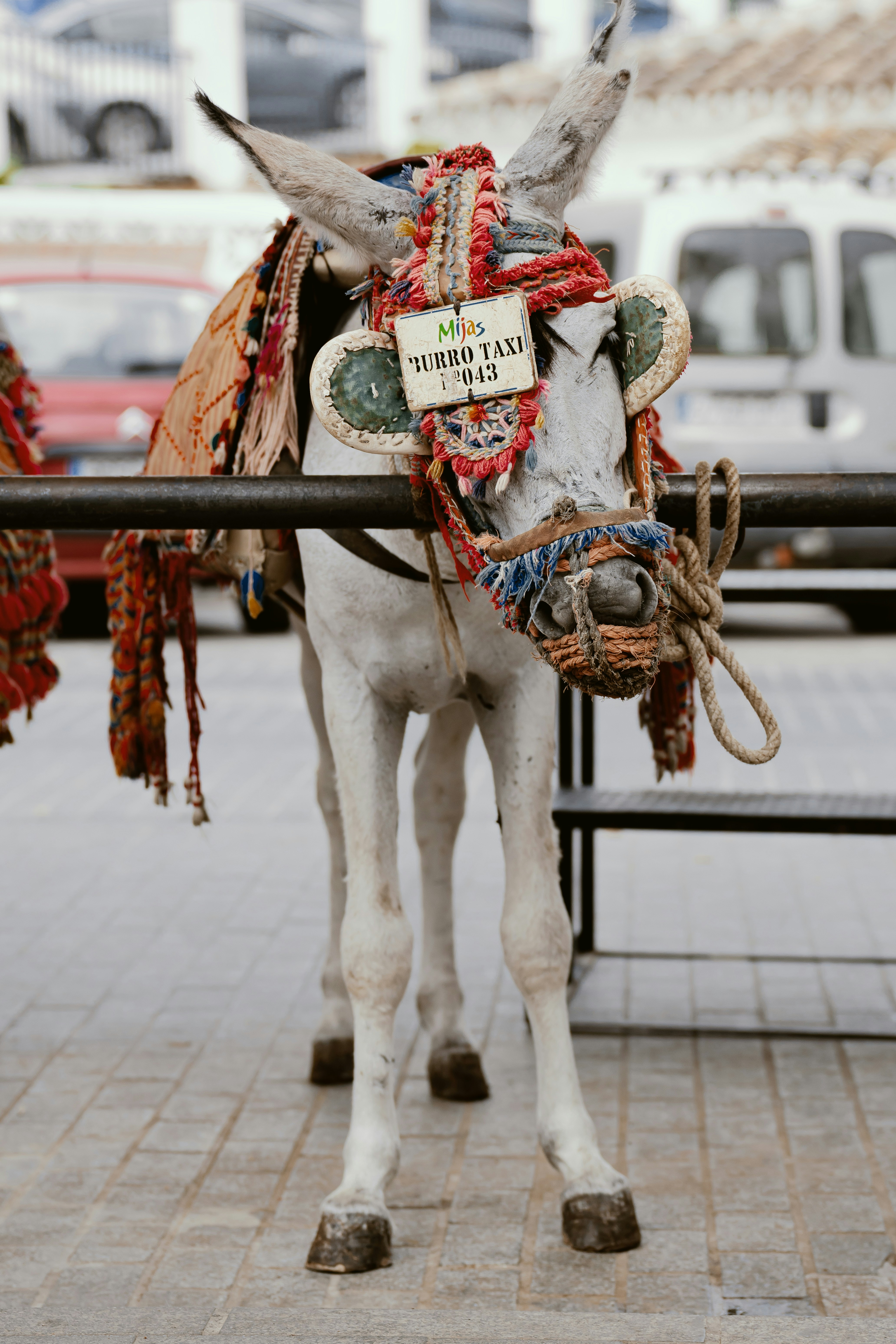 Colorful Burro Taxi: A Decorated Donkey by the Rails