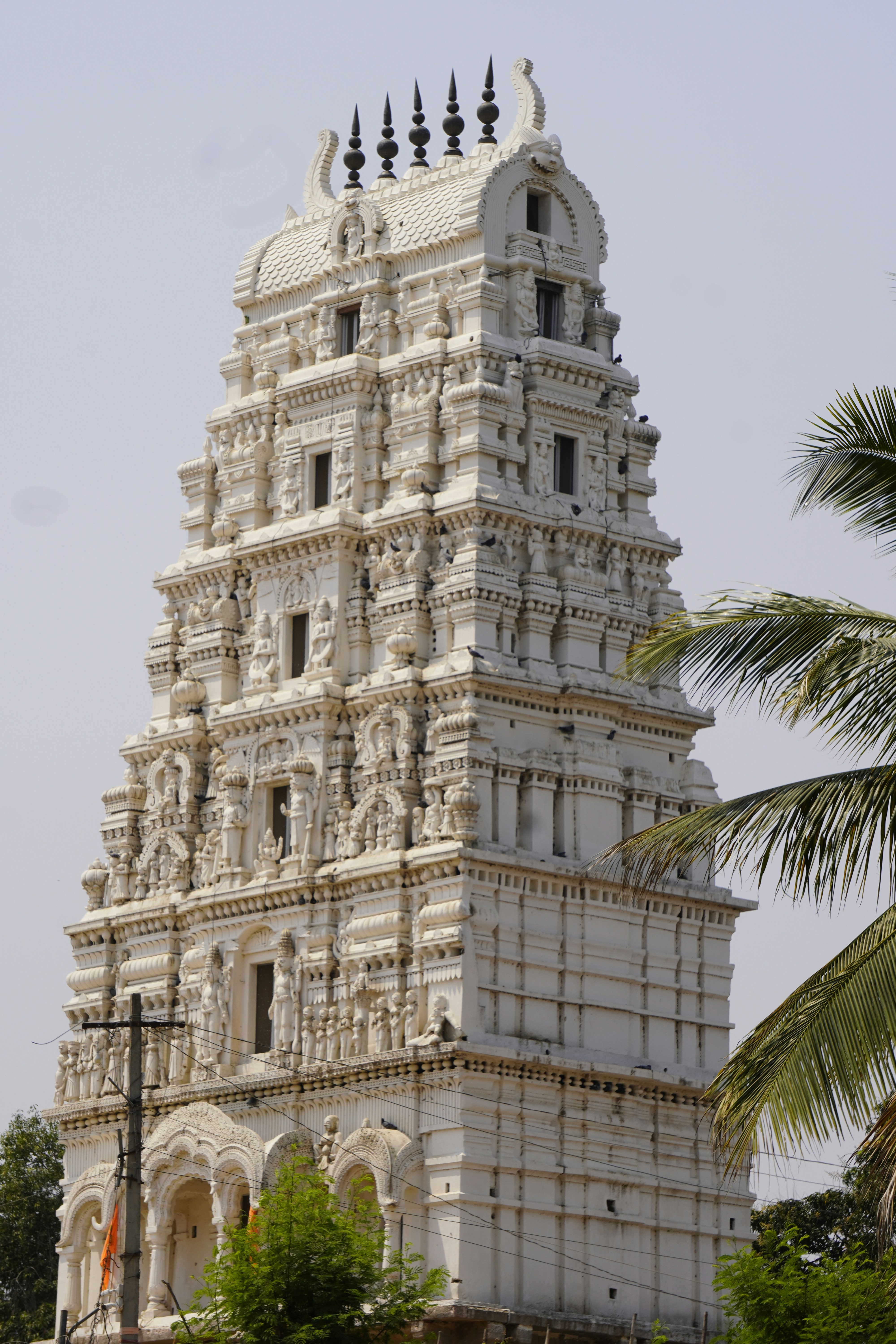 Ivory Gopuram Ascendancy: A White Temple Tower Framed by Palms