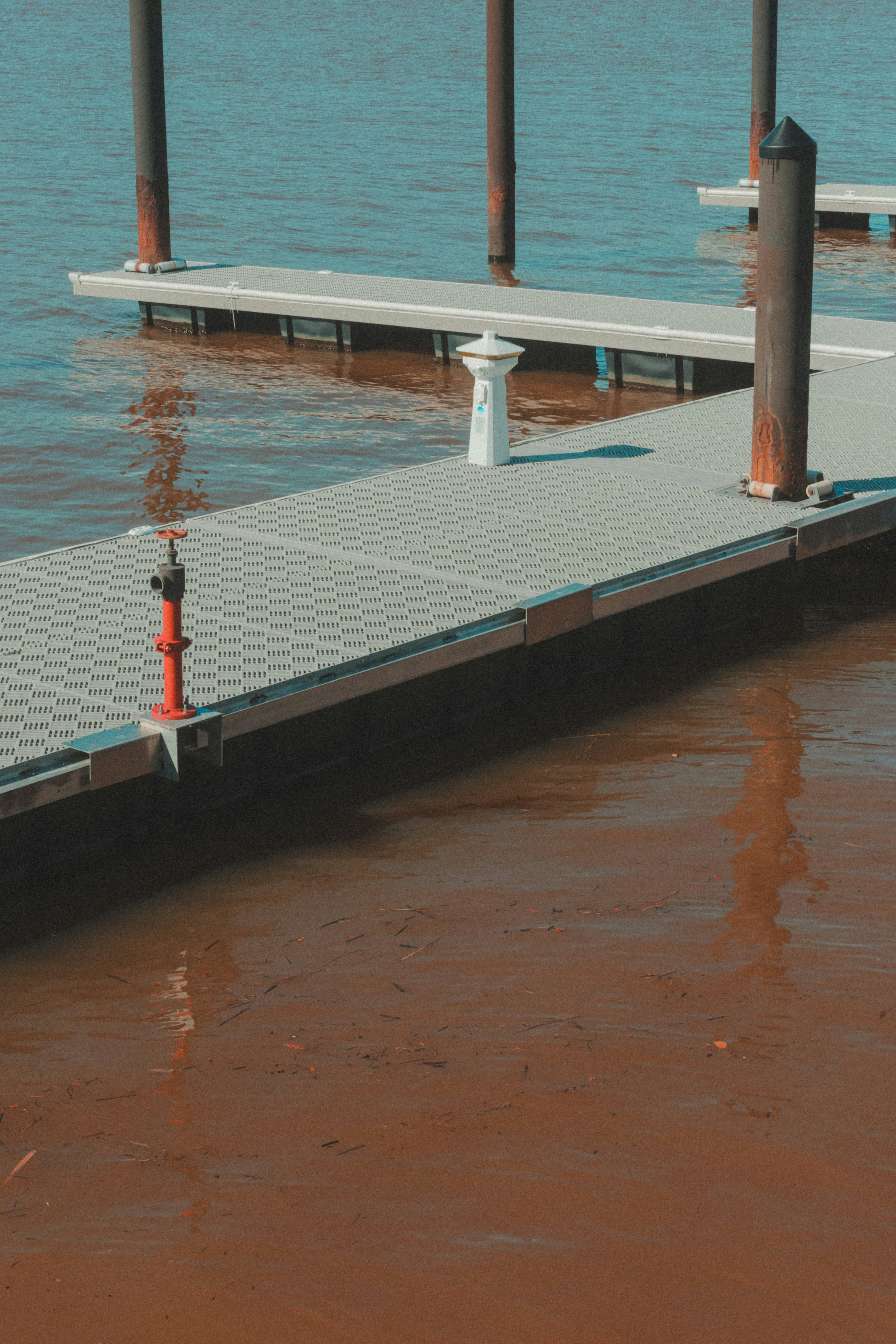 Photo by Brandon Griggs with Canon EOS R5 Mark II