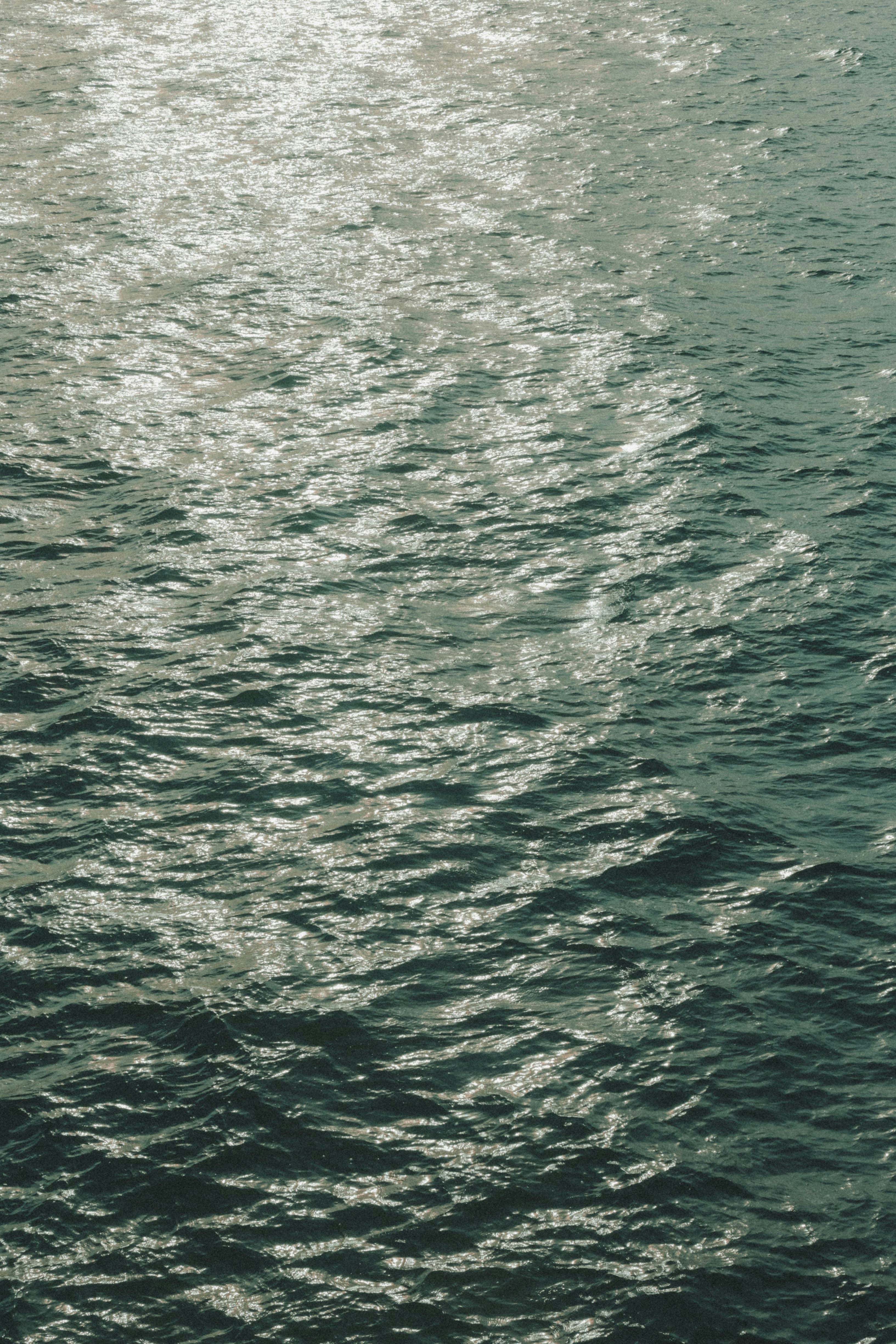 Sparkling sunlight dances on the rippling water. photo – Free Usa Image ...