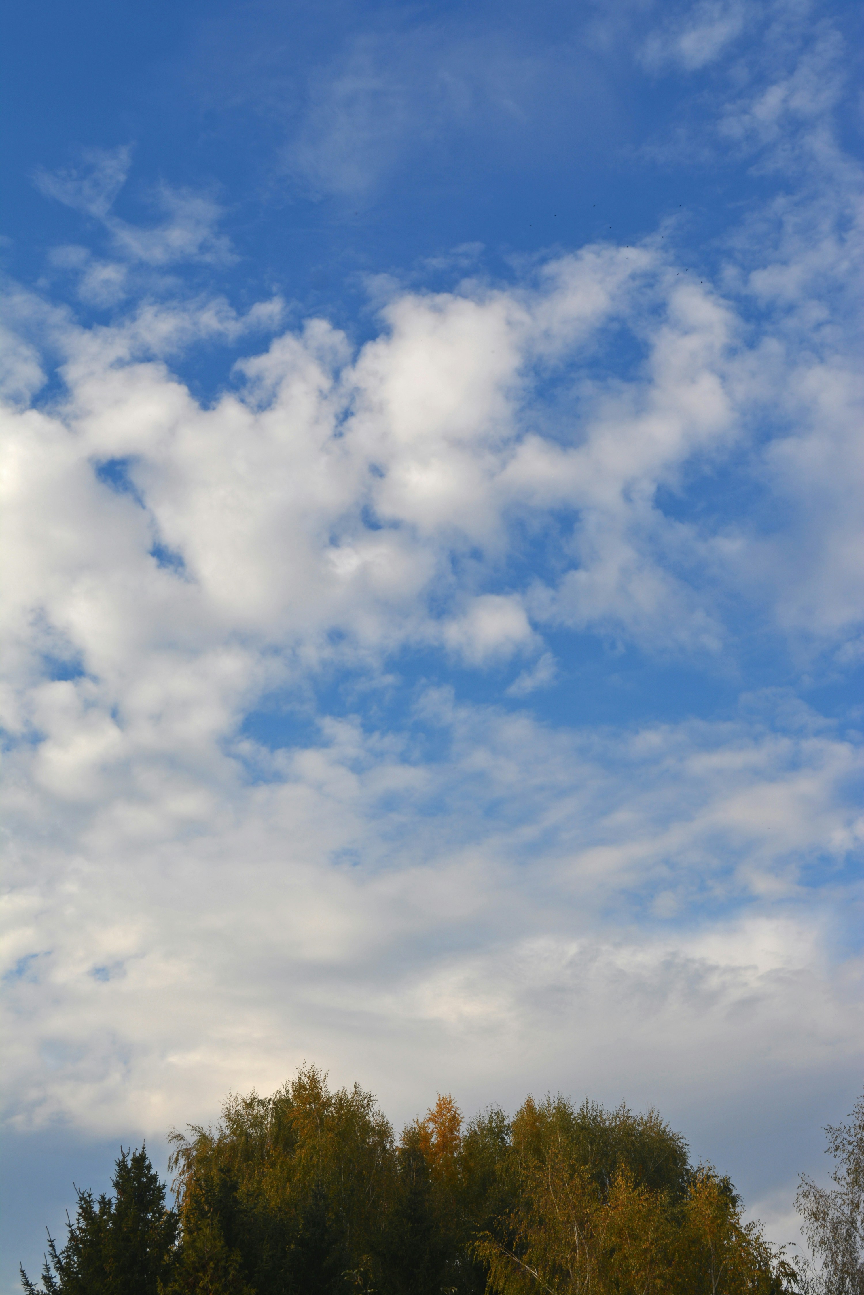 Photo by Natalia Voskresenska with Nikon D5200