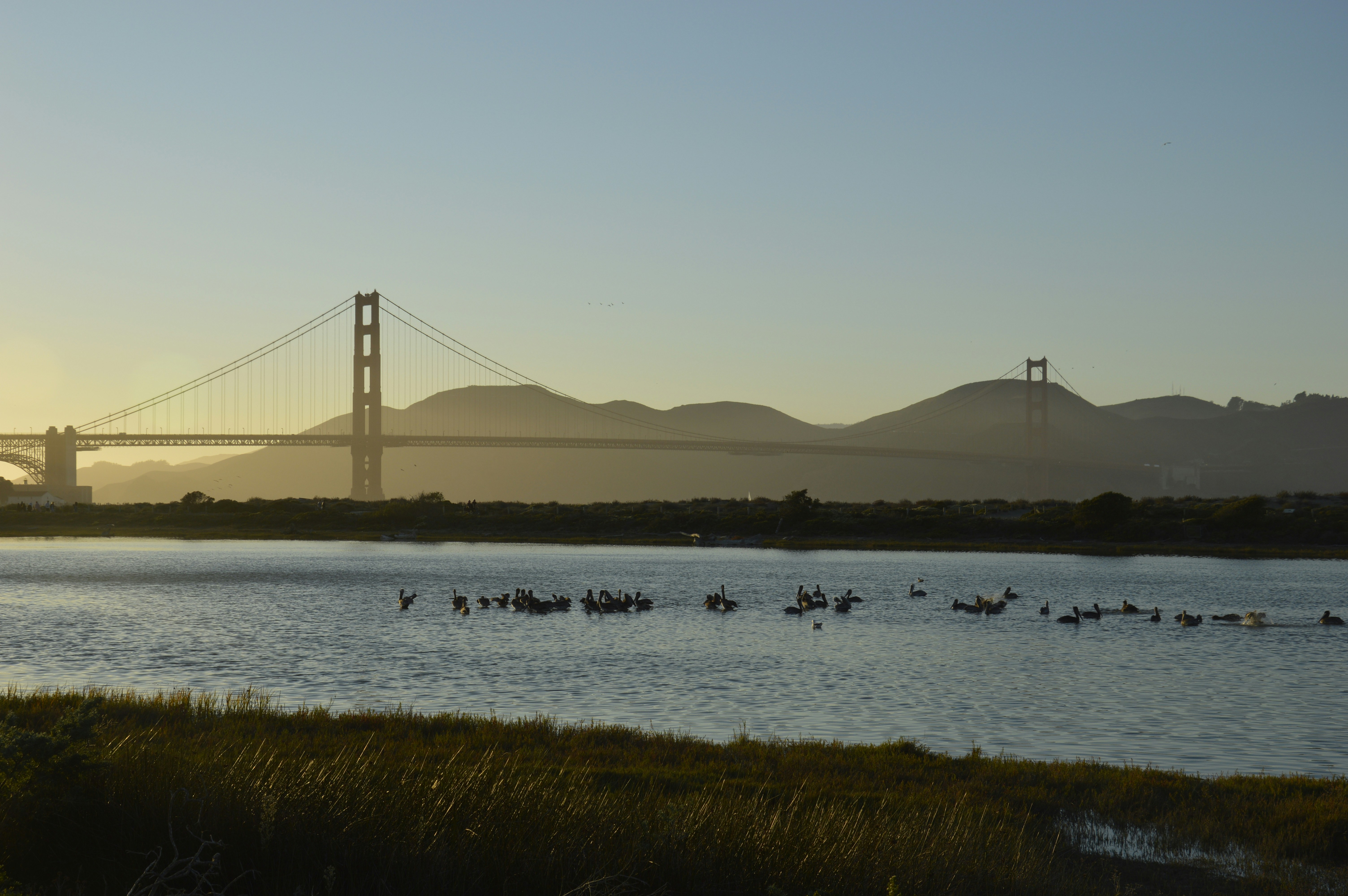 Dawn over the Bay Bridge: silhouettes and still water